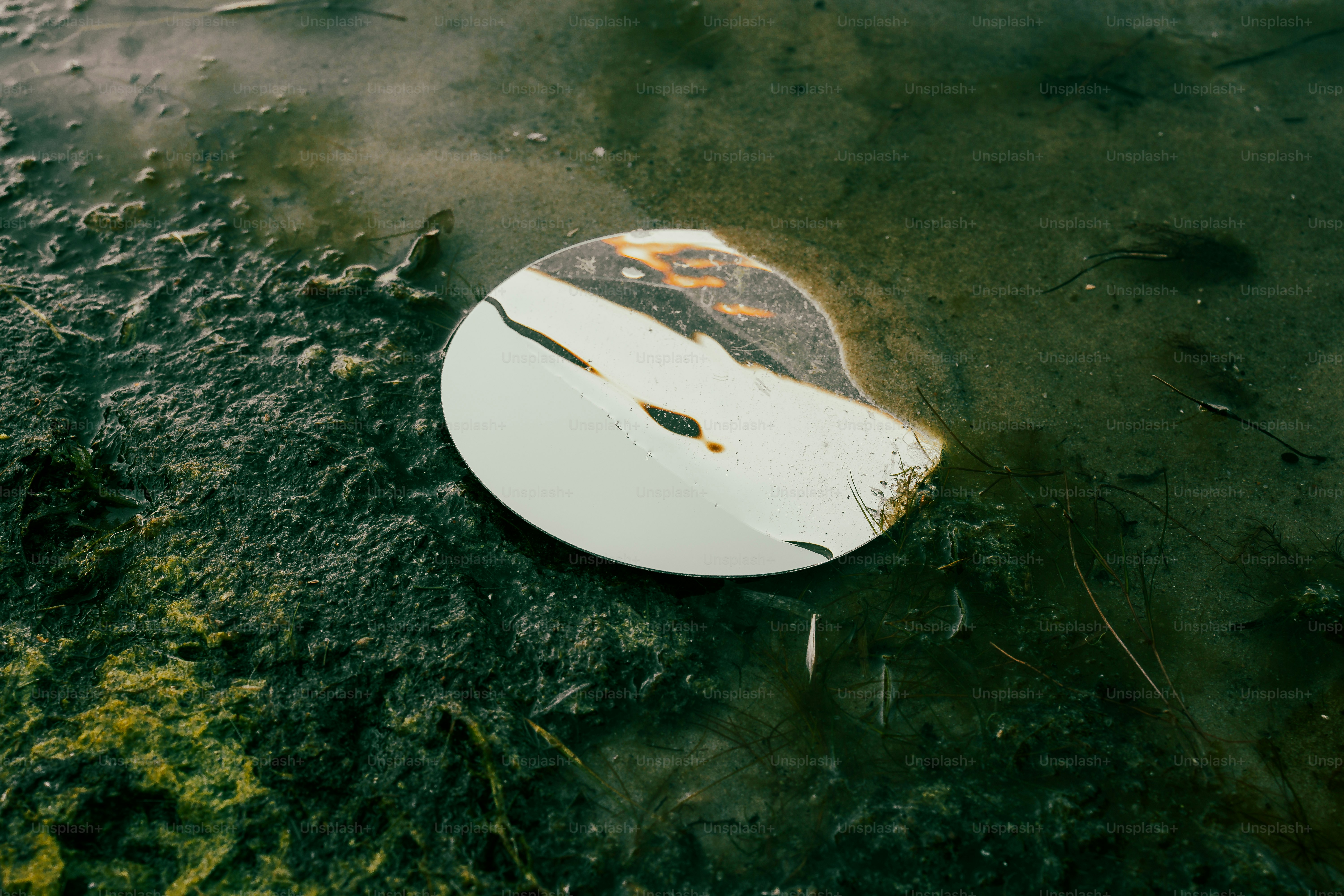 A broken mirror lays in murky water. photo – Wallpaper Image on Unsplash