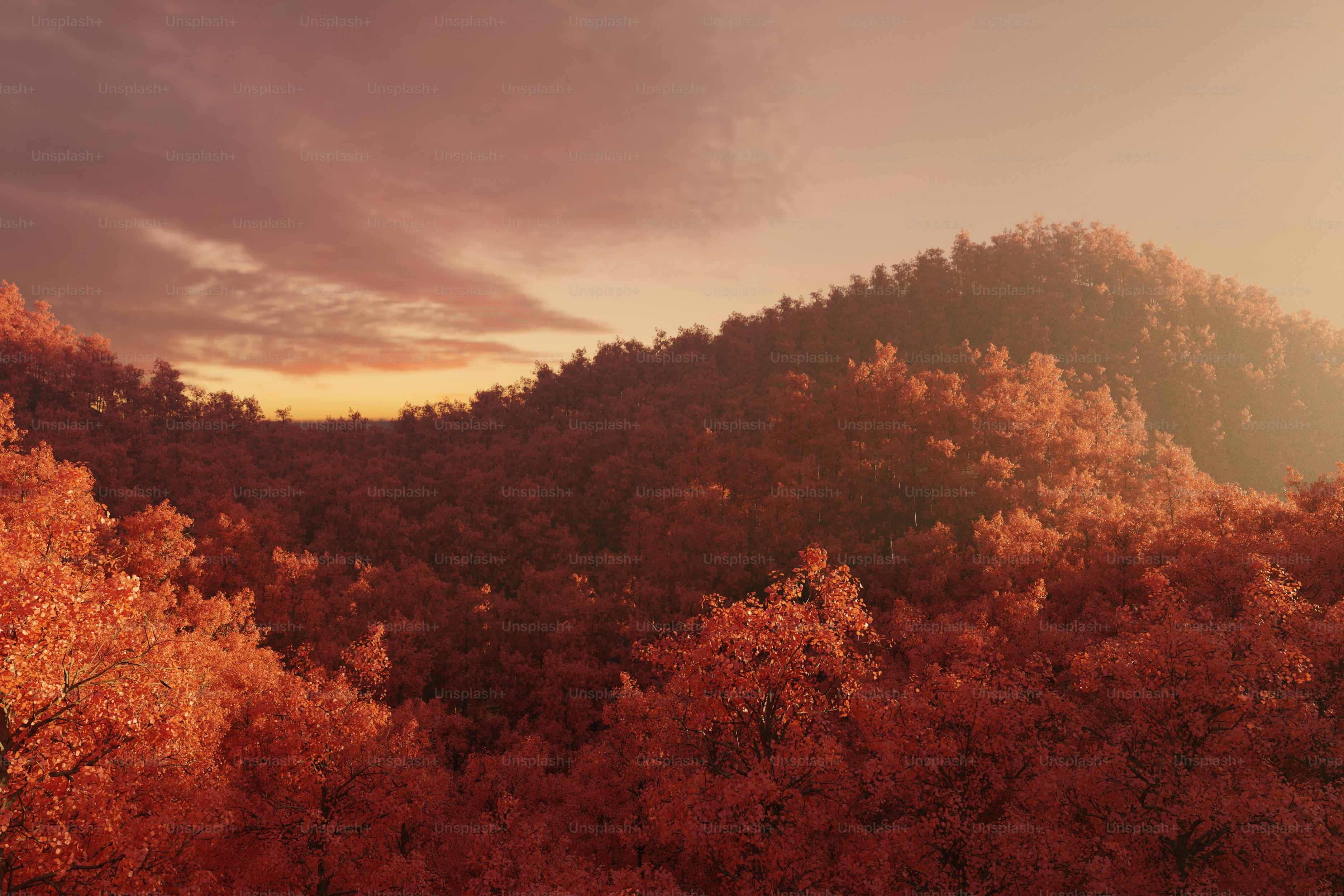 Autumn forest landscape under a dramatic sky photo – Forest Image on ...