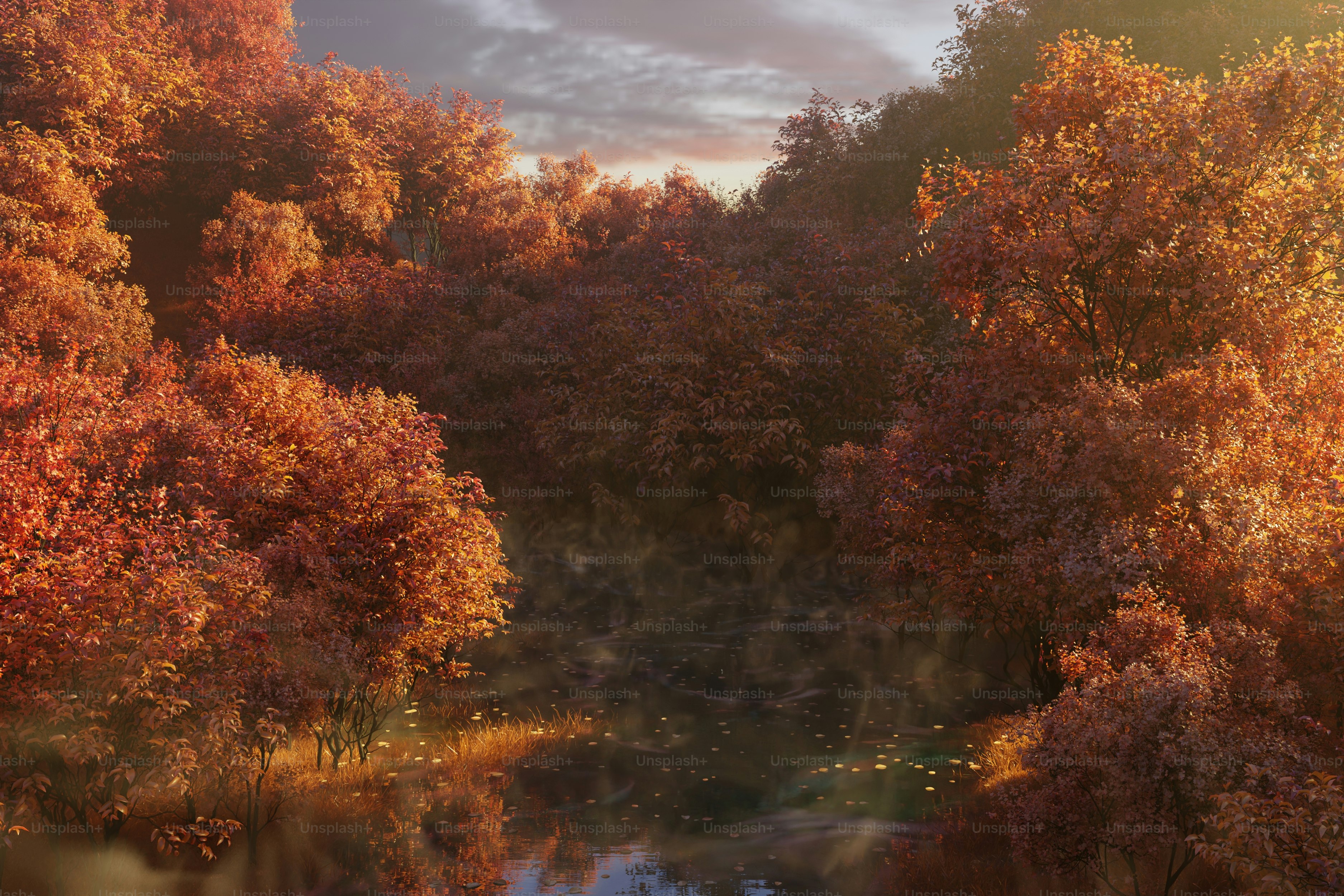 Autumn forest landscape under a dramatic sky photo – Forest Image on ...