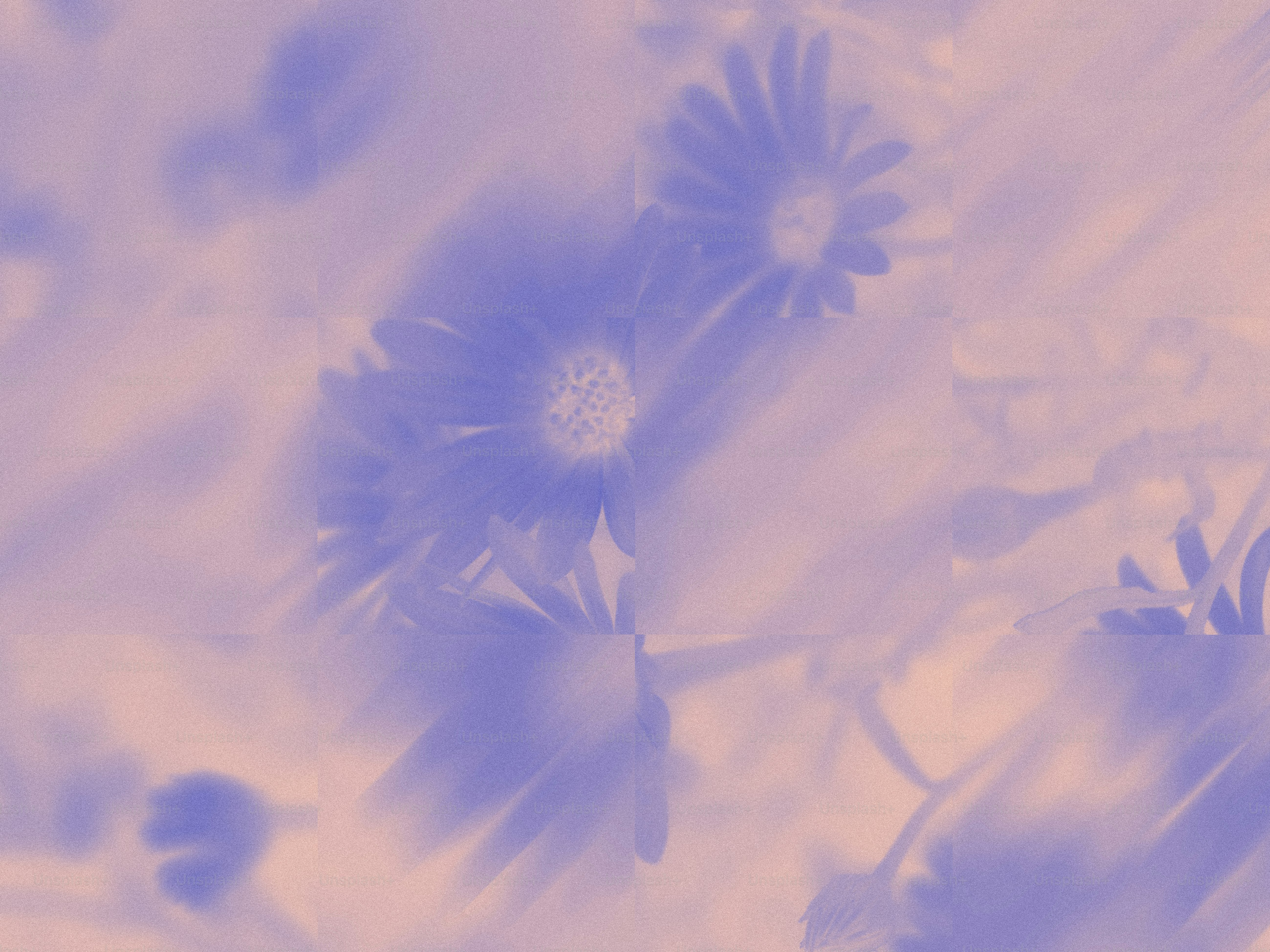 Microscopic view of fungal spores and hyphae photo – Wallpaper Image on ...