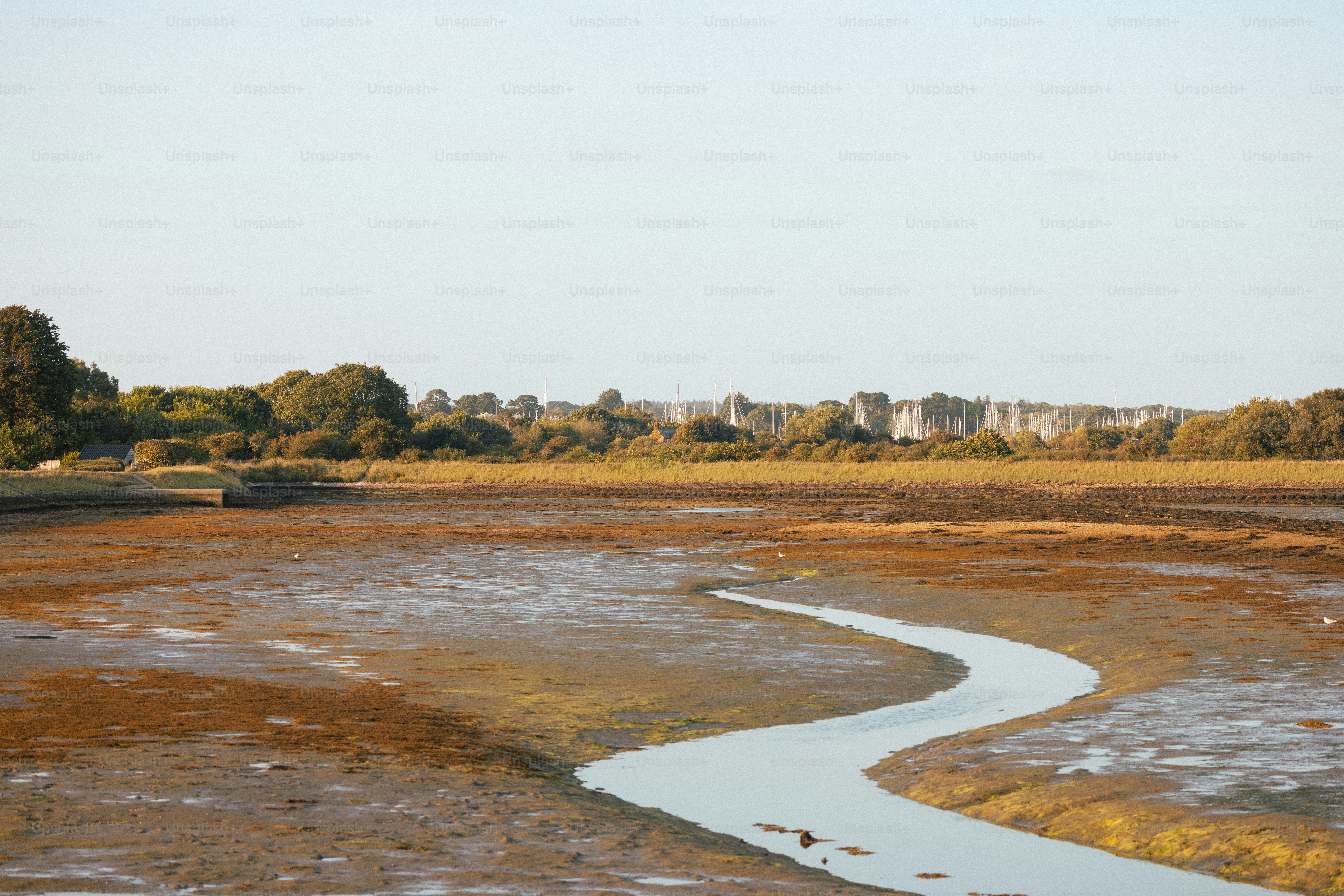 A winding stream flows through a marshy landscape. photo – Outdoor ...