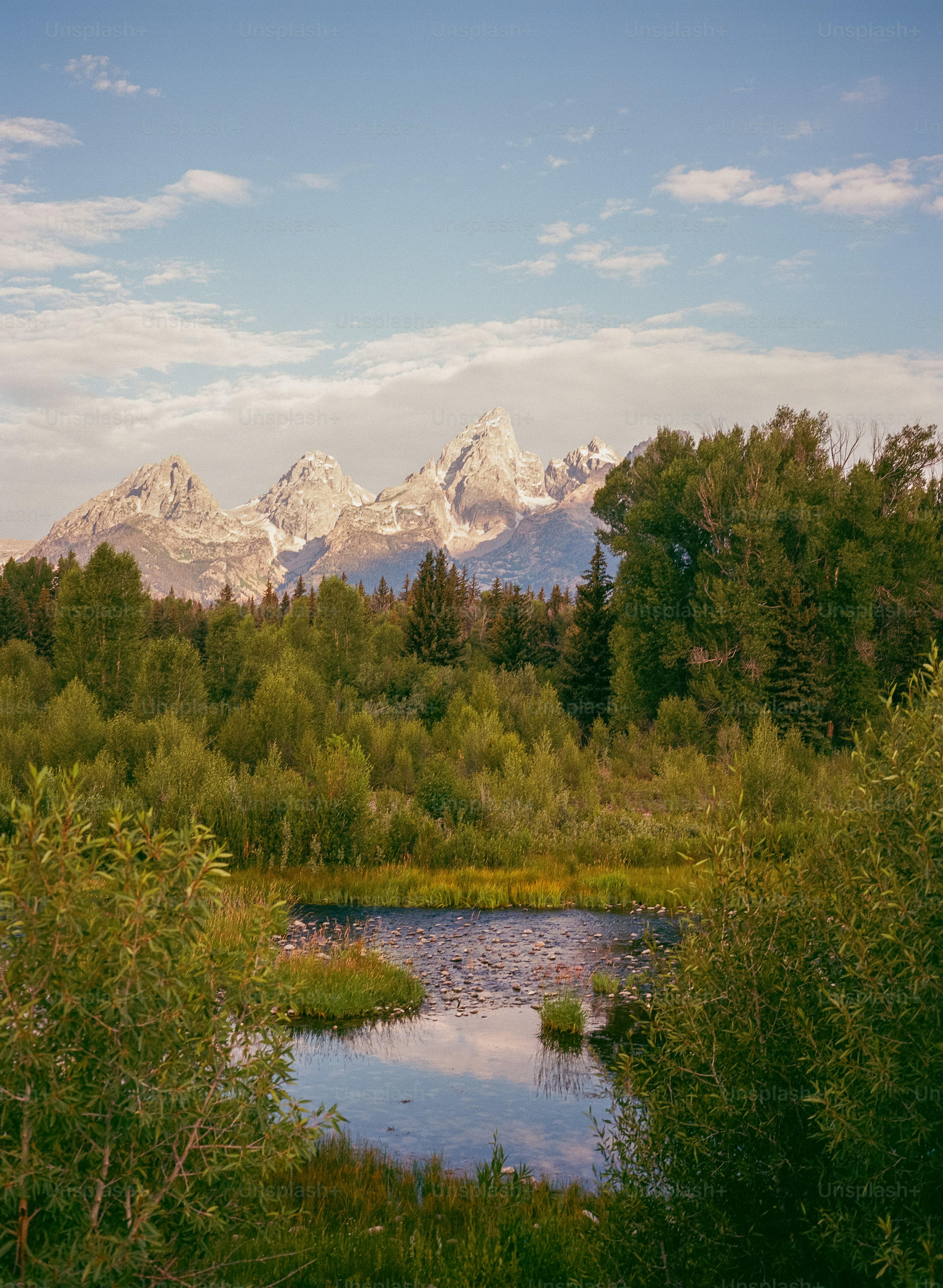 A powerful waterfall cascades down a rocky slope surrounded by trees ...
