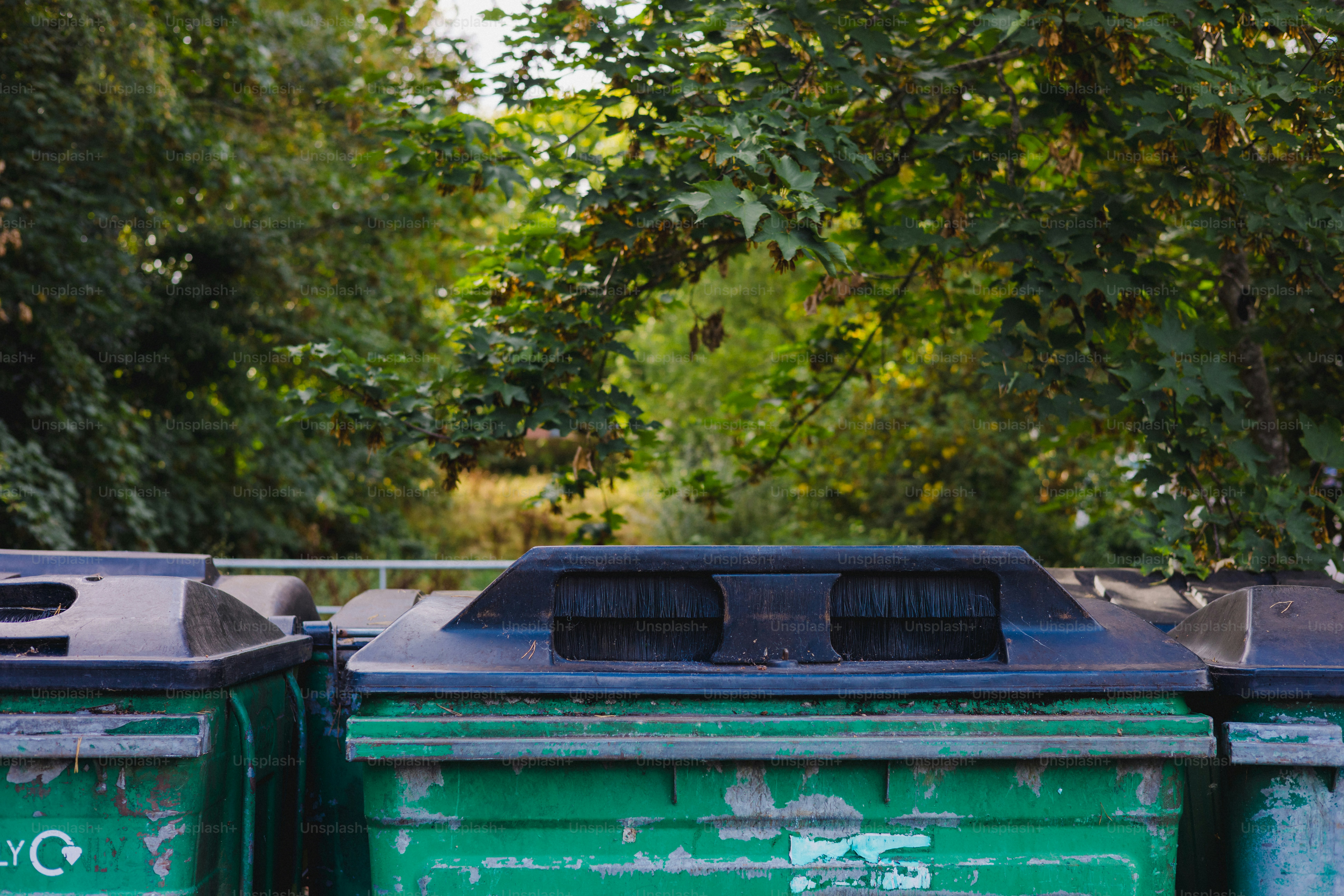 Green recycling bins in front of trees photo – Industrial Image on Unsplash