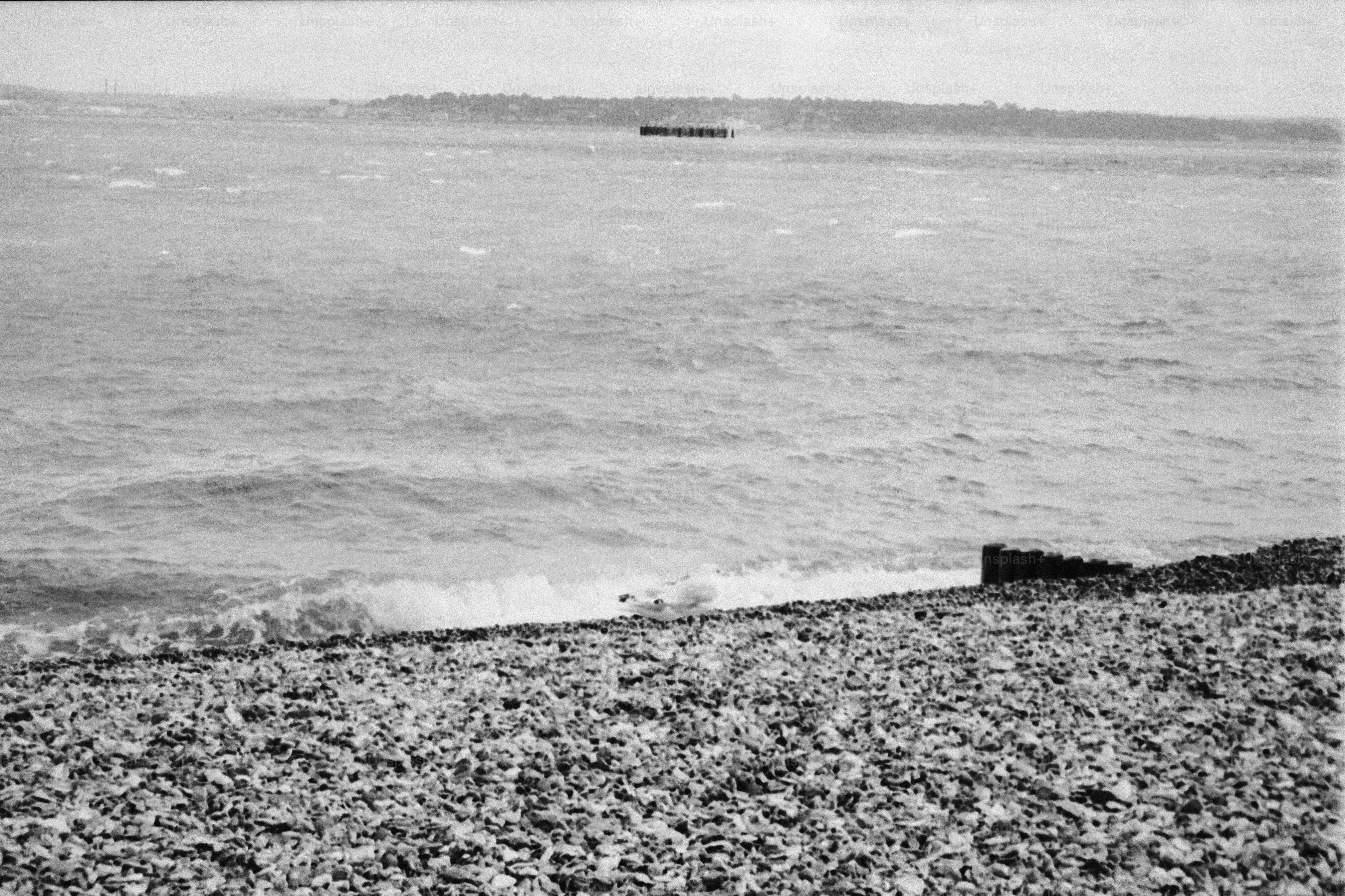 A ship sails on a choppy sea near a pebbled shore. photo – Beach Image ...
