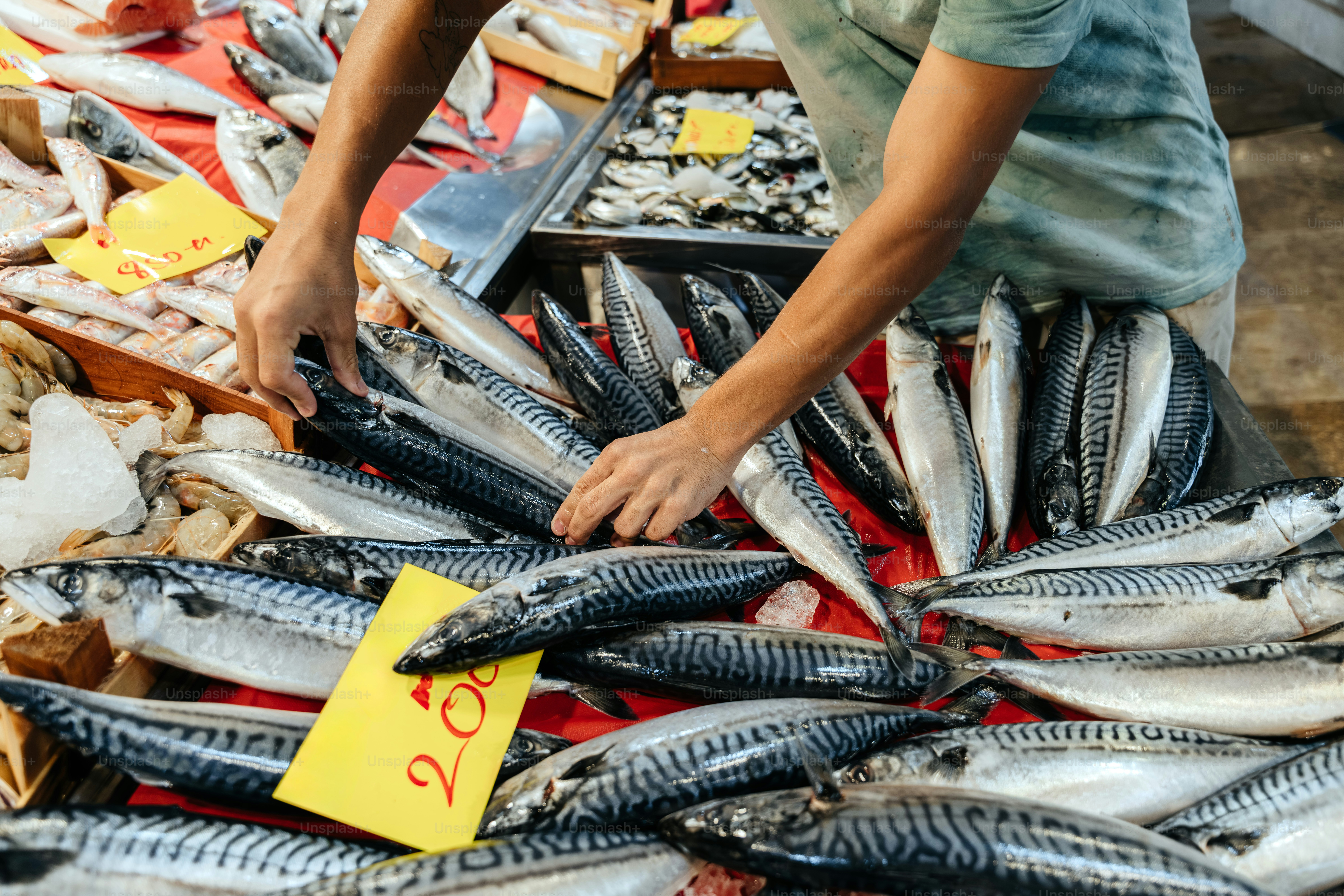 A vendor arranges fresh fish at a market stall. photo – Fish Image on ...