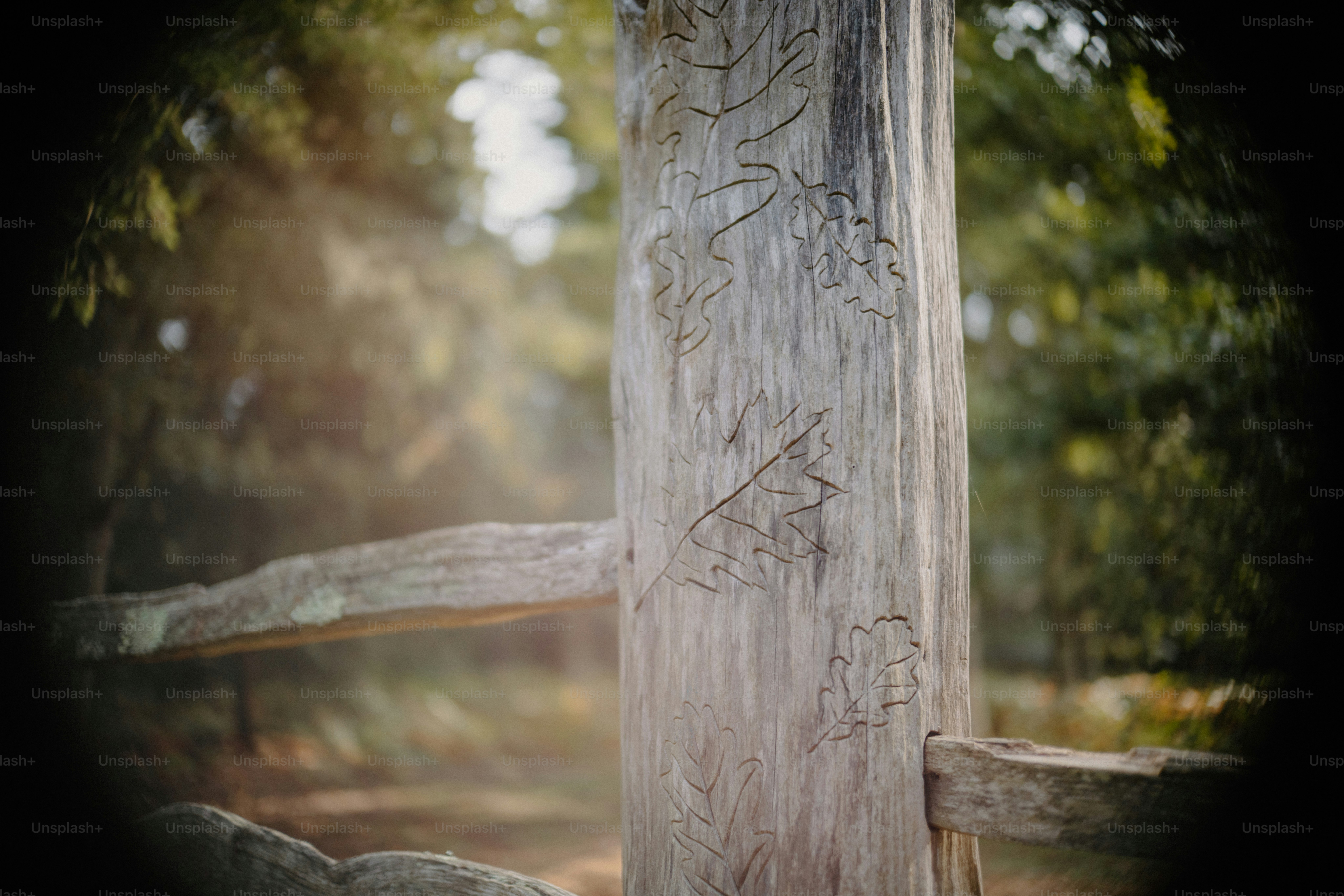 Weathered wooden post with carvings in a forest photo – Autumn Image on ...