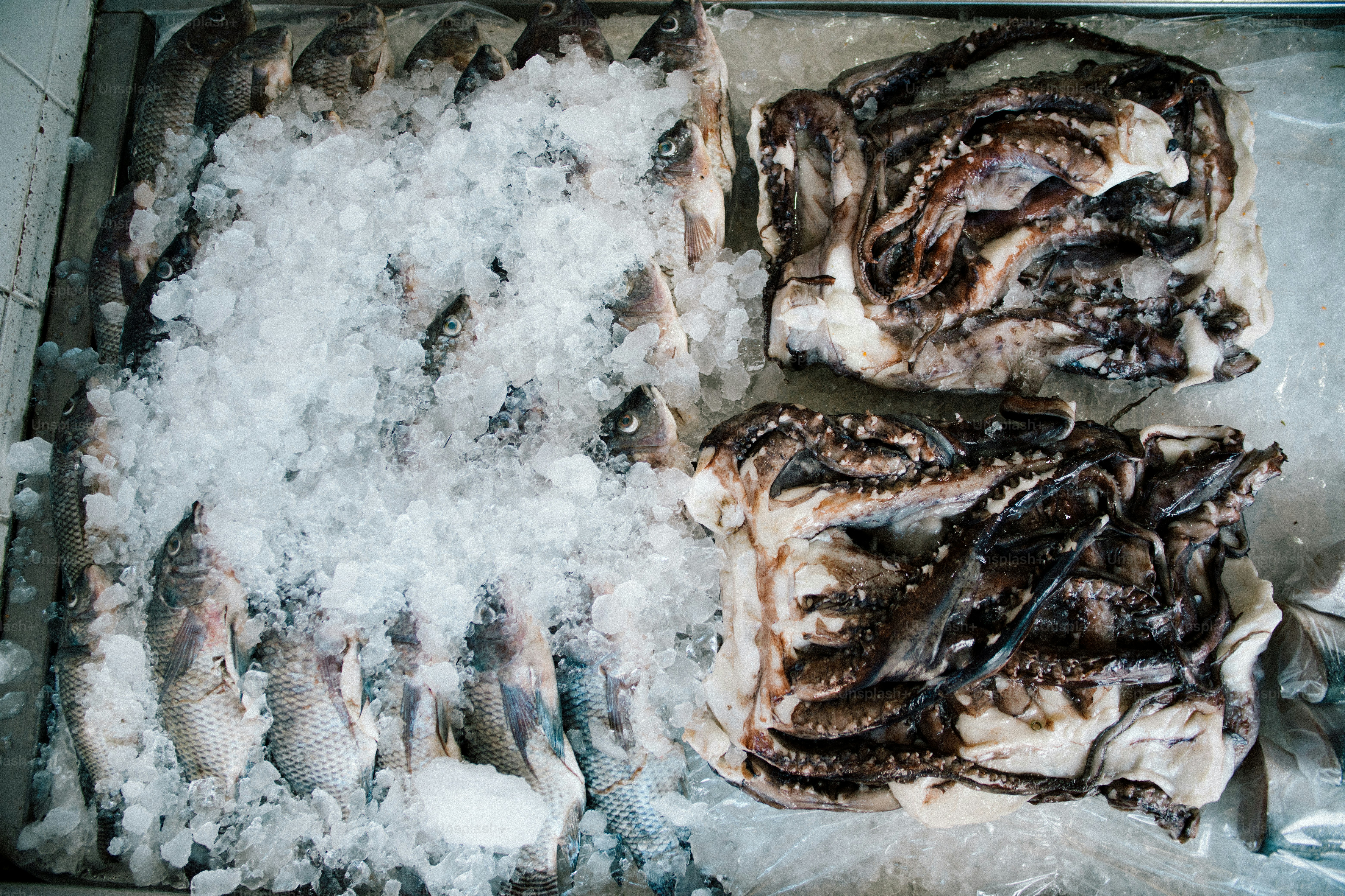 Packaged fish fillets and crab sticks in a display case. photo ...