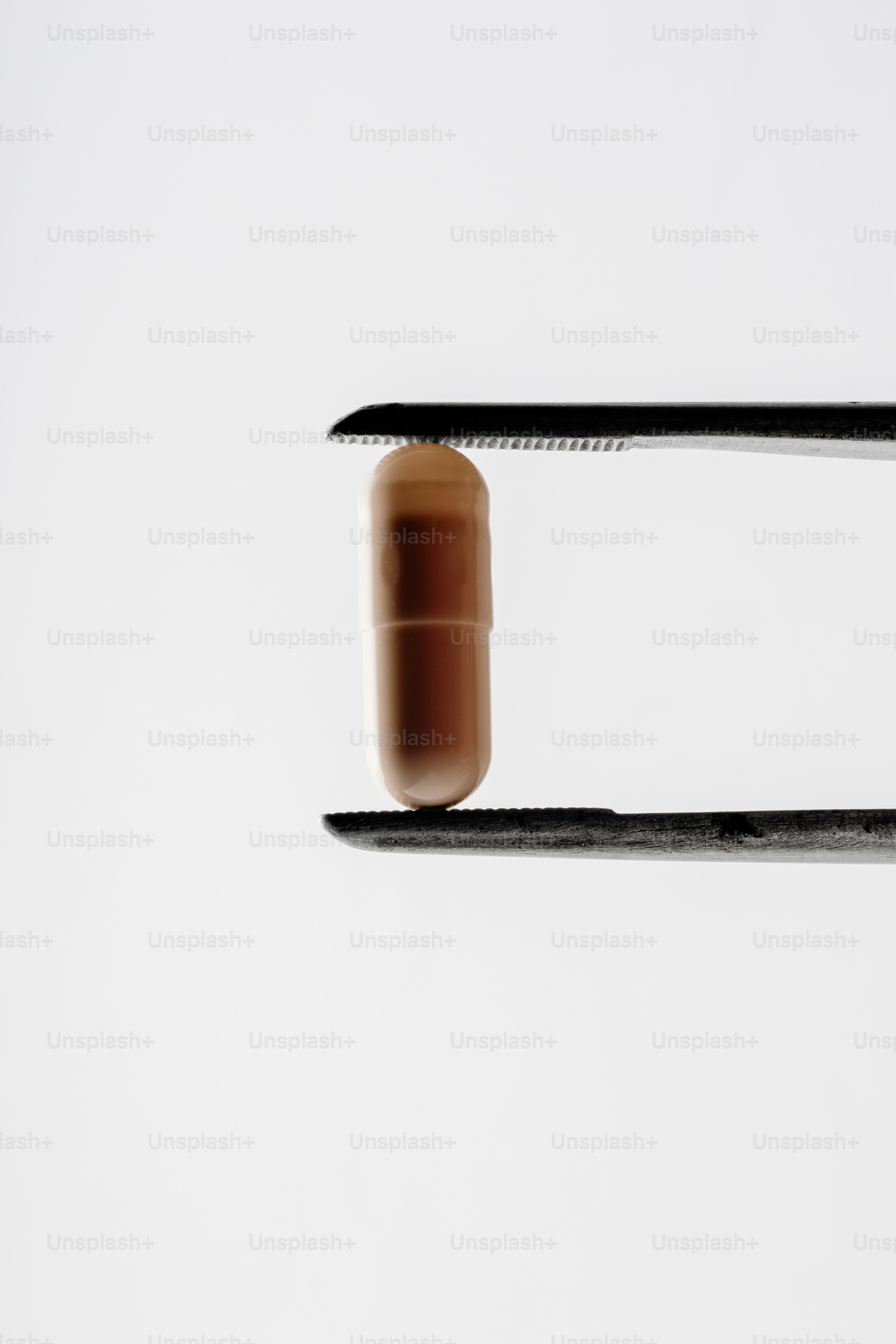 Tweezers holding a single brown capsule photo – Minimalist Image on ...