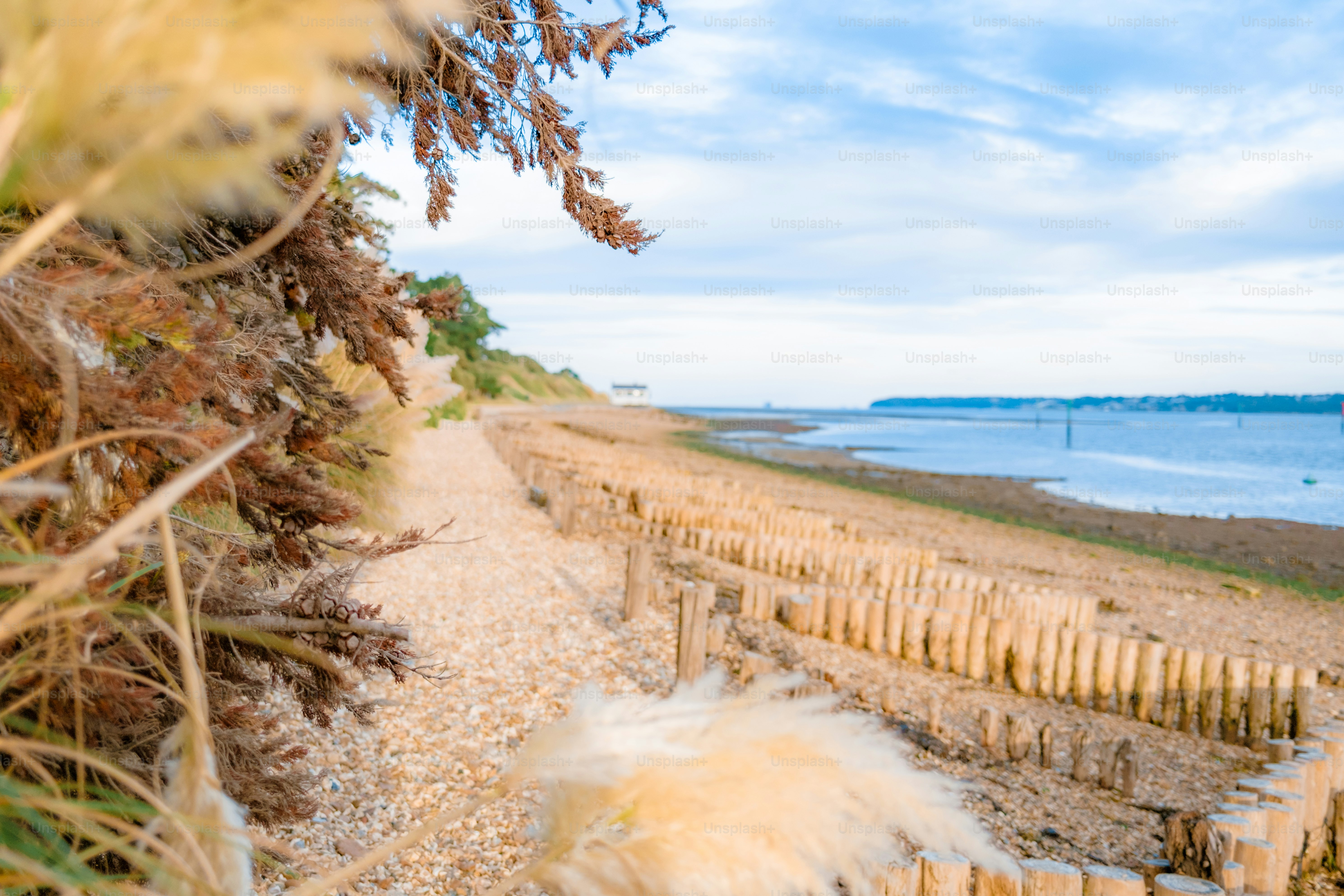 A scenic beach path with wooden barriers and calm water photo – Beach ...