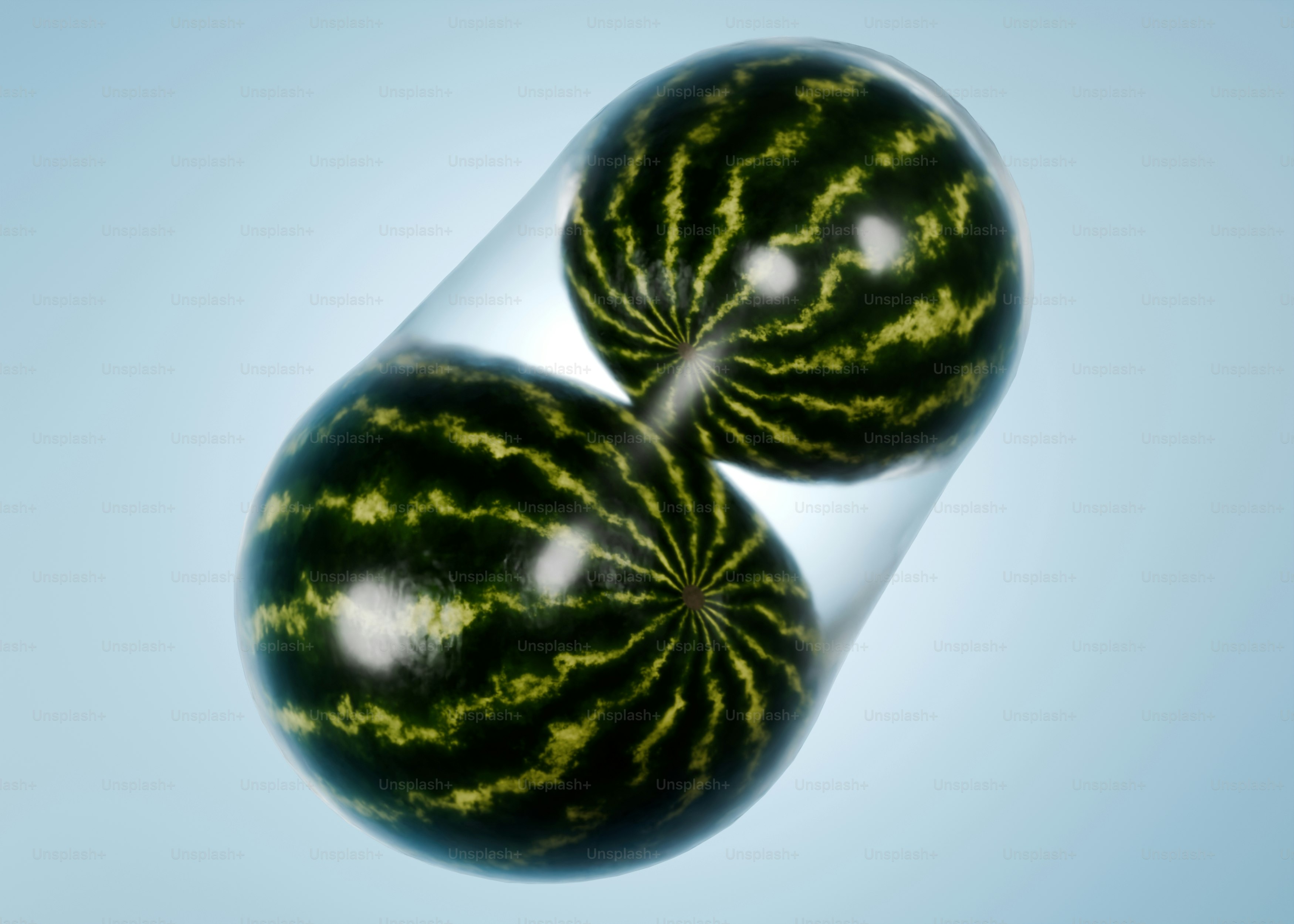 Two small watermelons inside a clear tube photo – Fruit Image on Unsplash