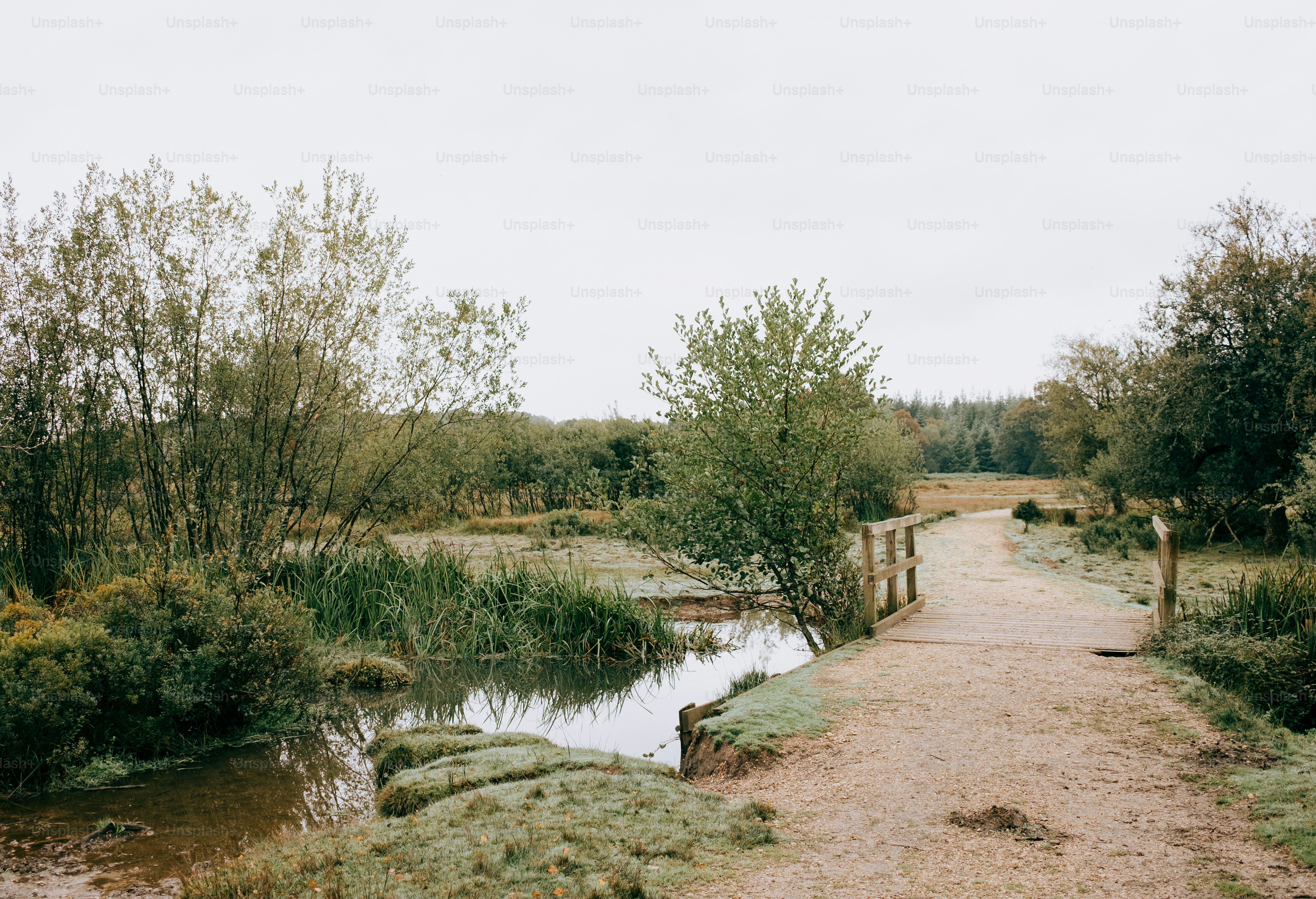Dirt path leads to a wooden bridge over water. photo – Autumn Image on ...