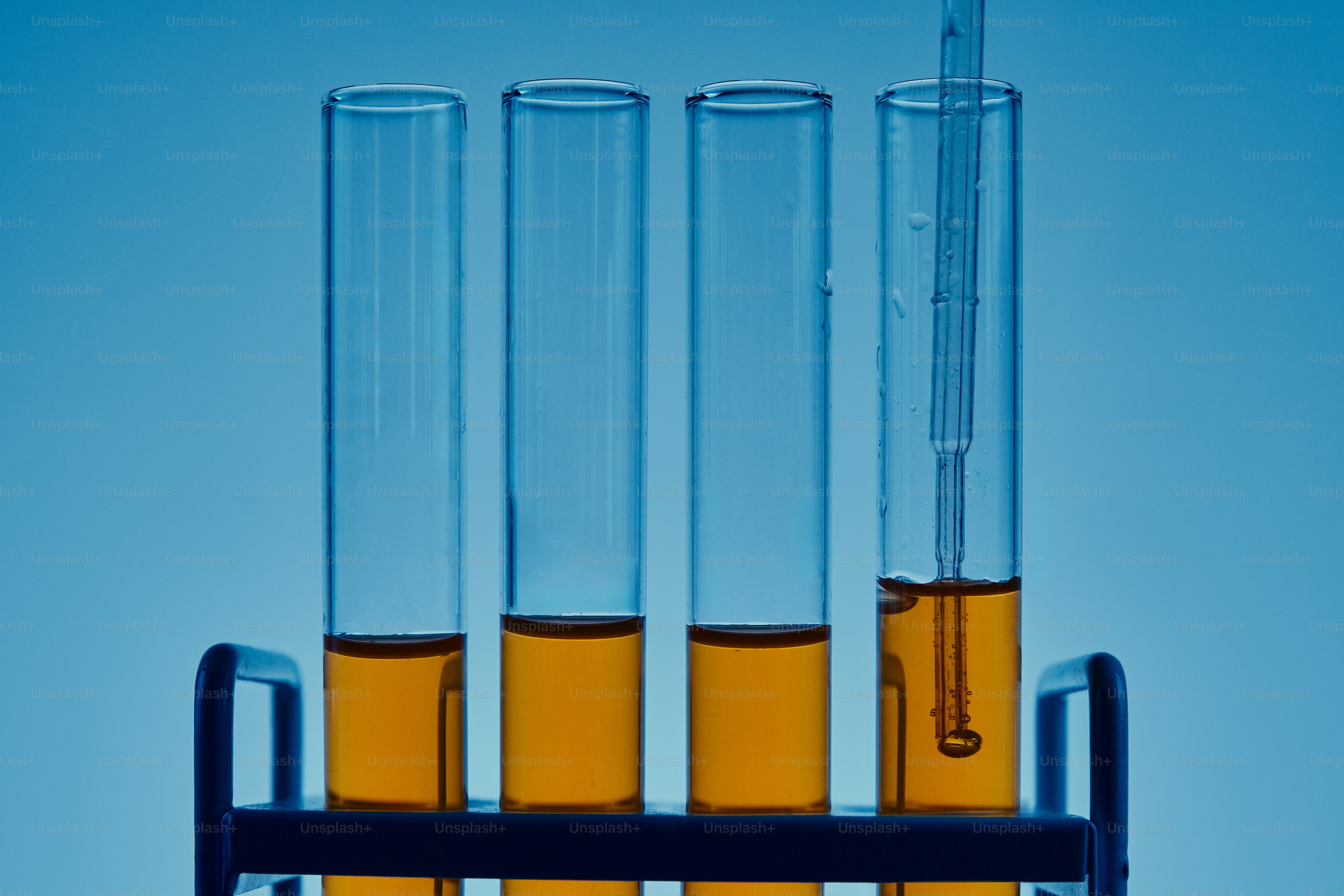 Four test tubes with amber liquid in rack. photo – Science Image on ...