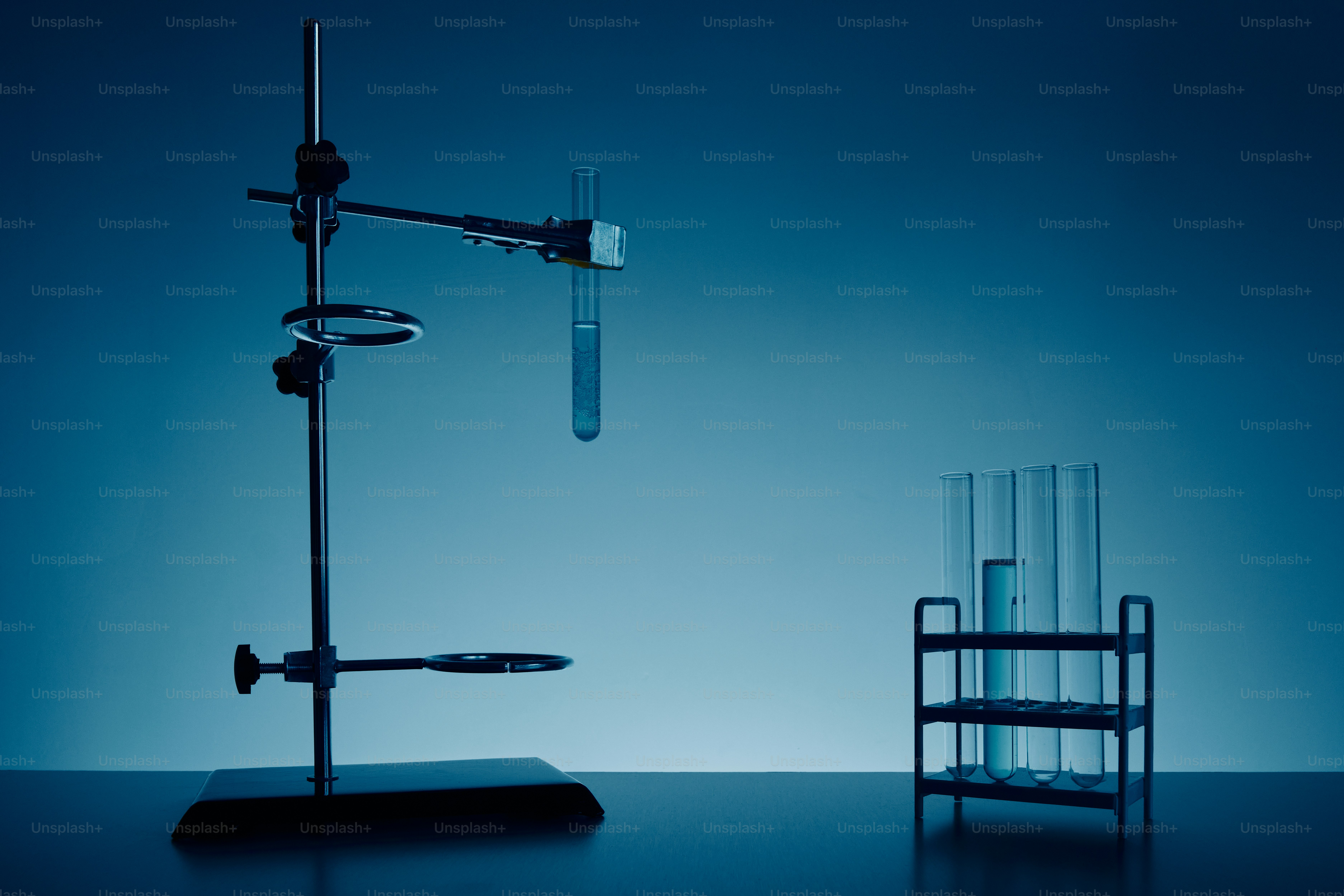 Test tubes on a stand with blue liquid. photo – Science Image on Unsplash
