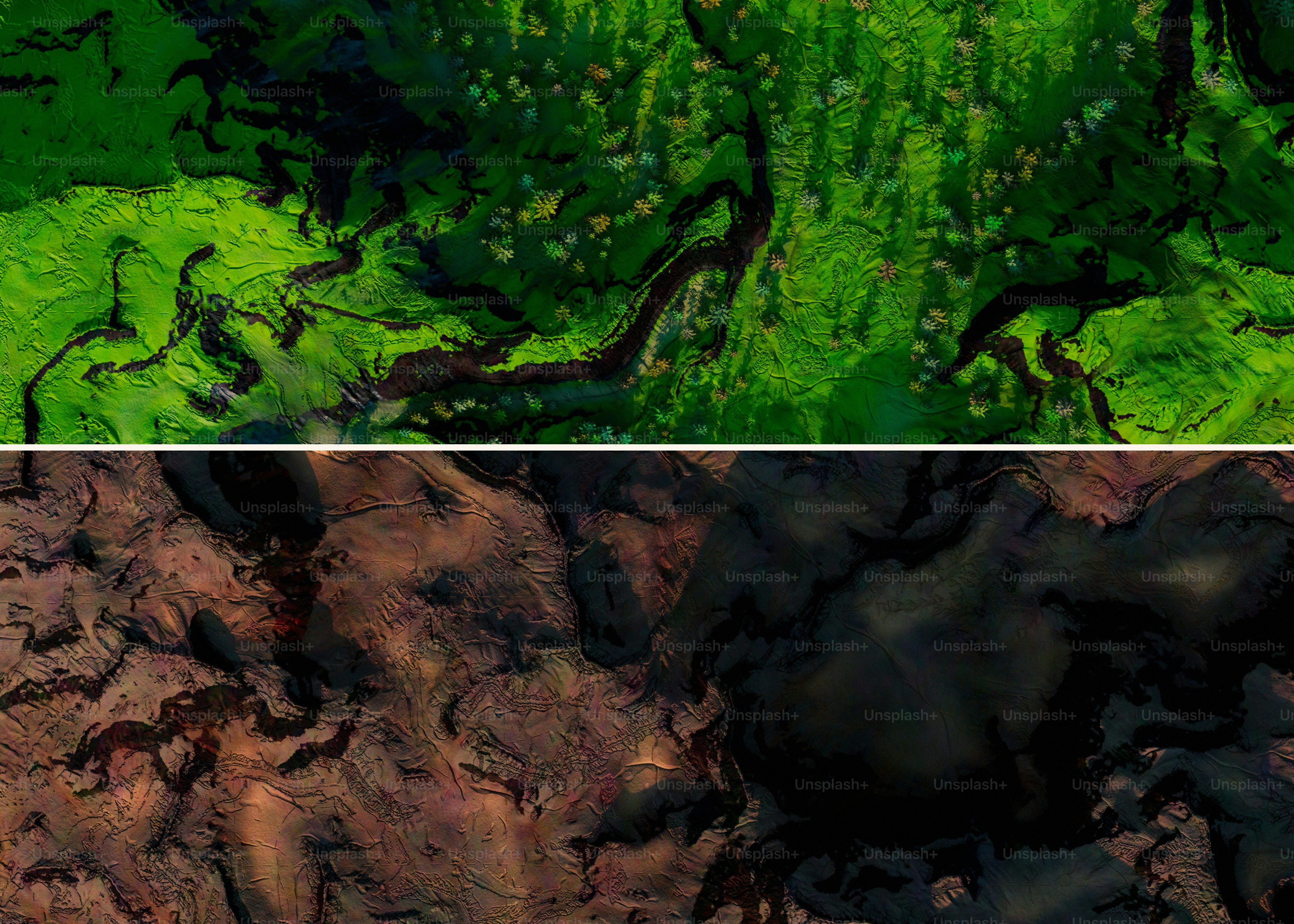Aerial view of lush green forest and dry earth photo – Climate change ...