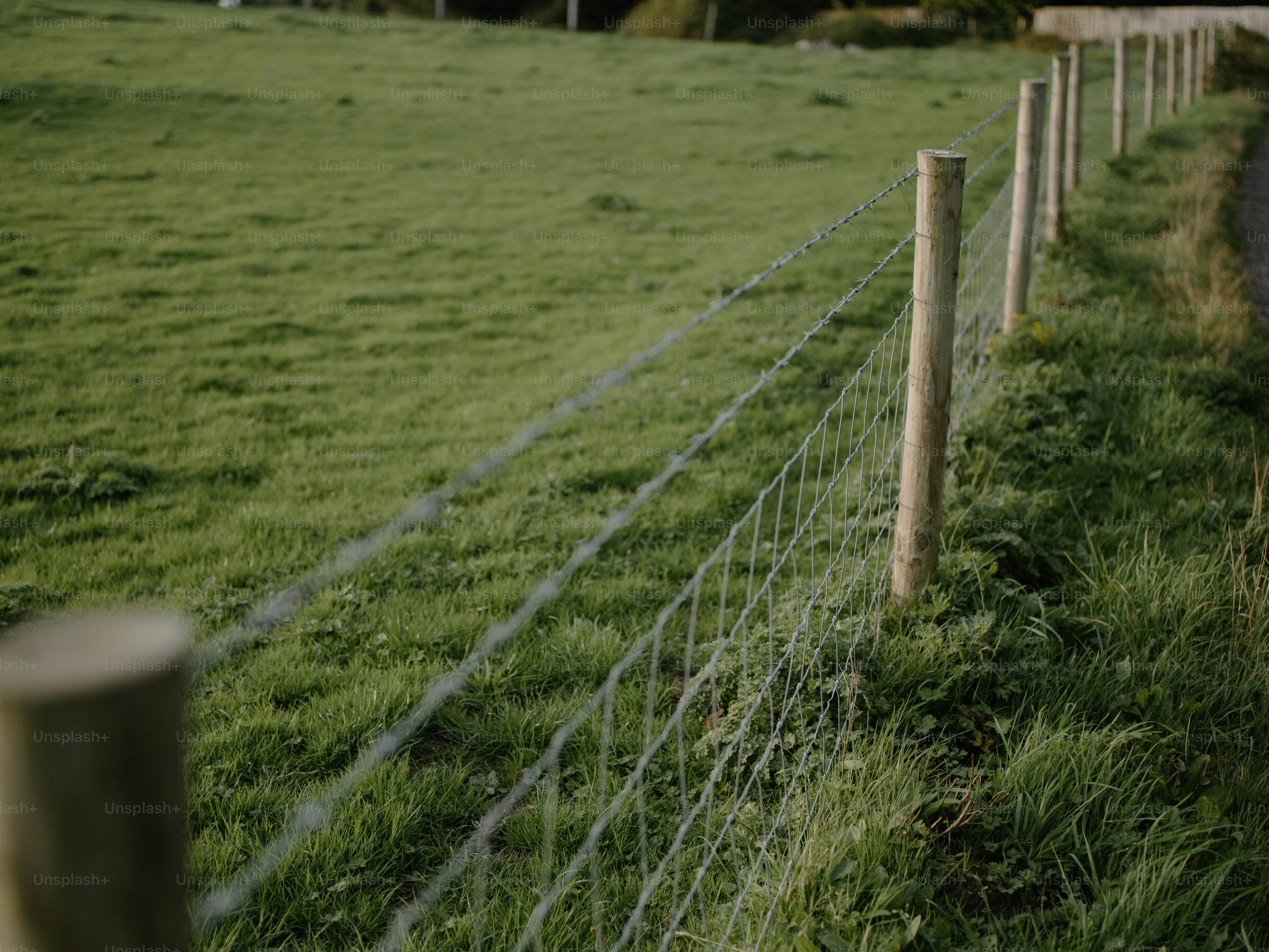 Wire fence with wooden posts in a grassy field. photo – Countryside ...