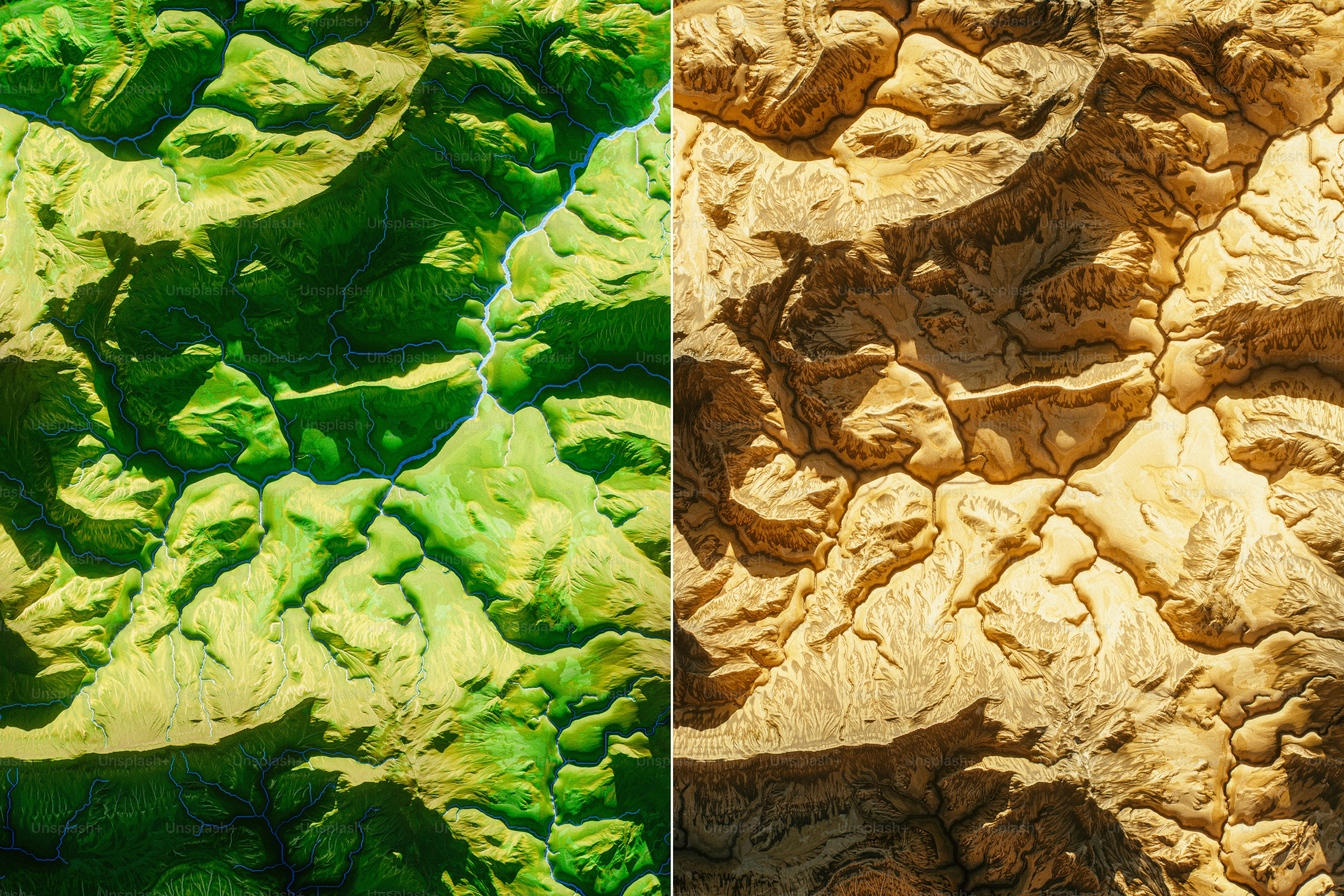 Split view of lush green landscape and dry desert terrain photo ...