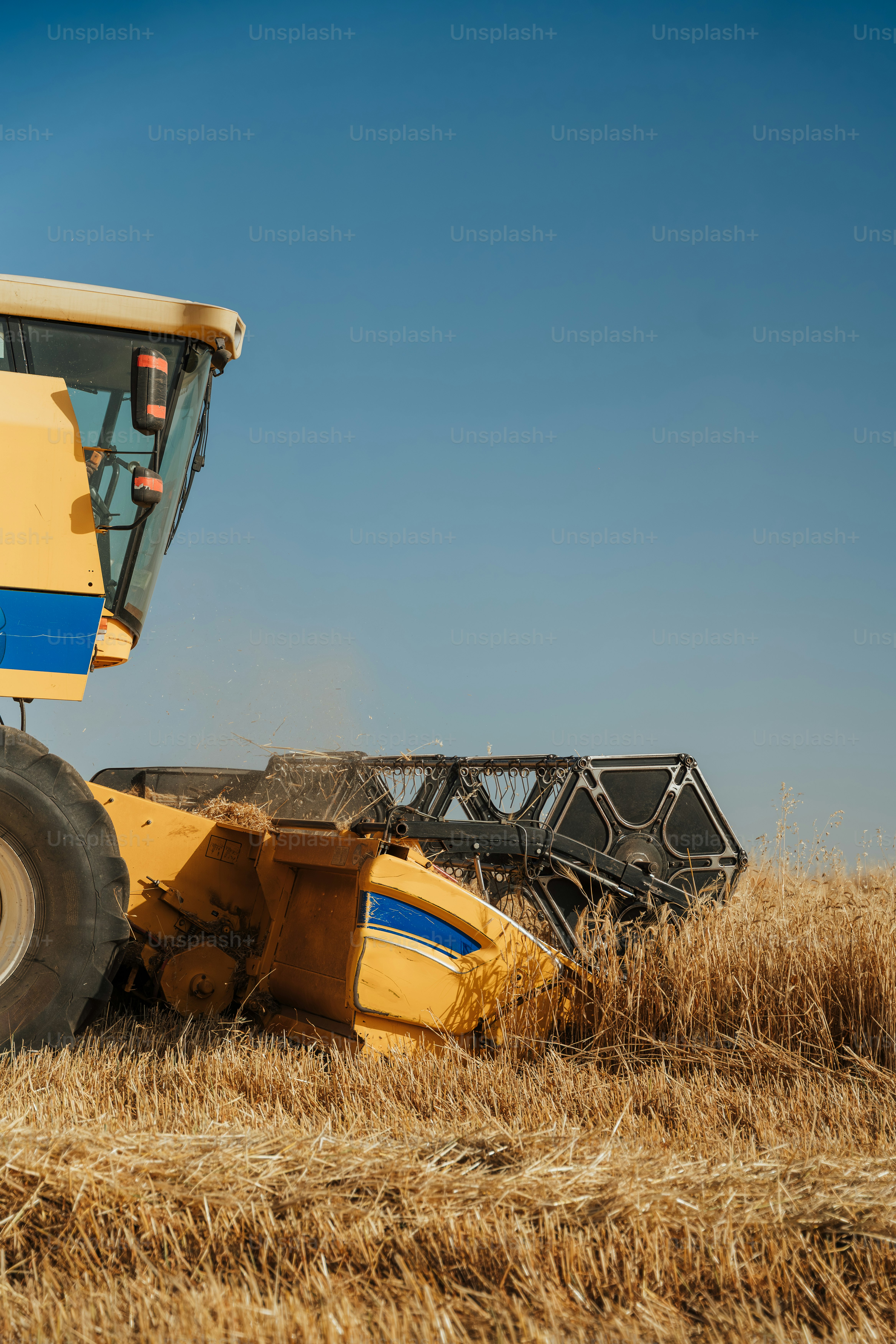 Yellow combine harvester working in a dry wheat field. photo ...