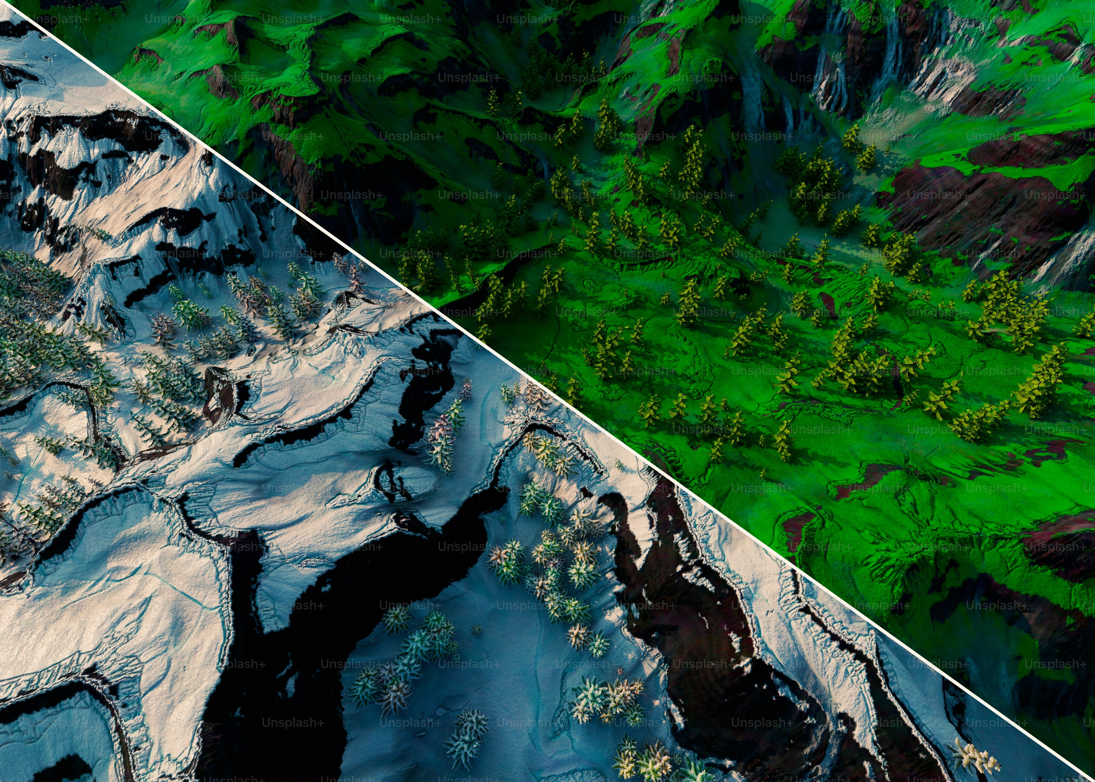 Split view of green forest and snowy mountains photo – Forest Image on ...