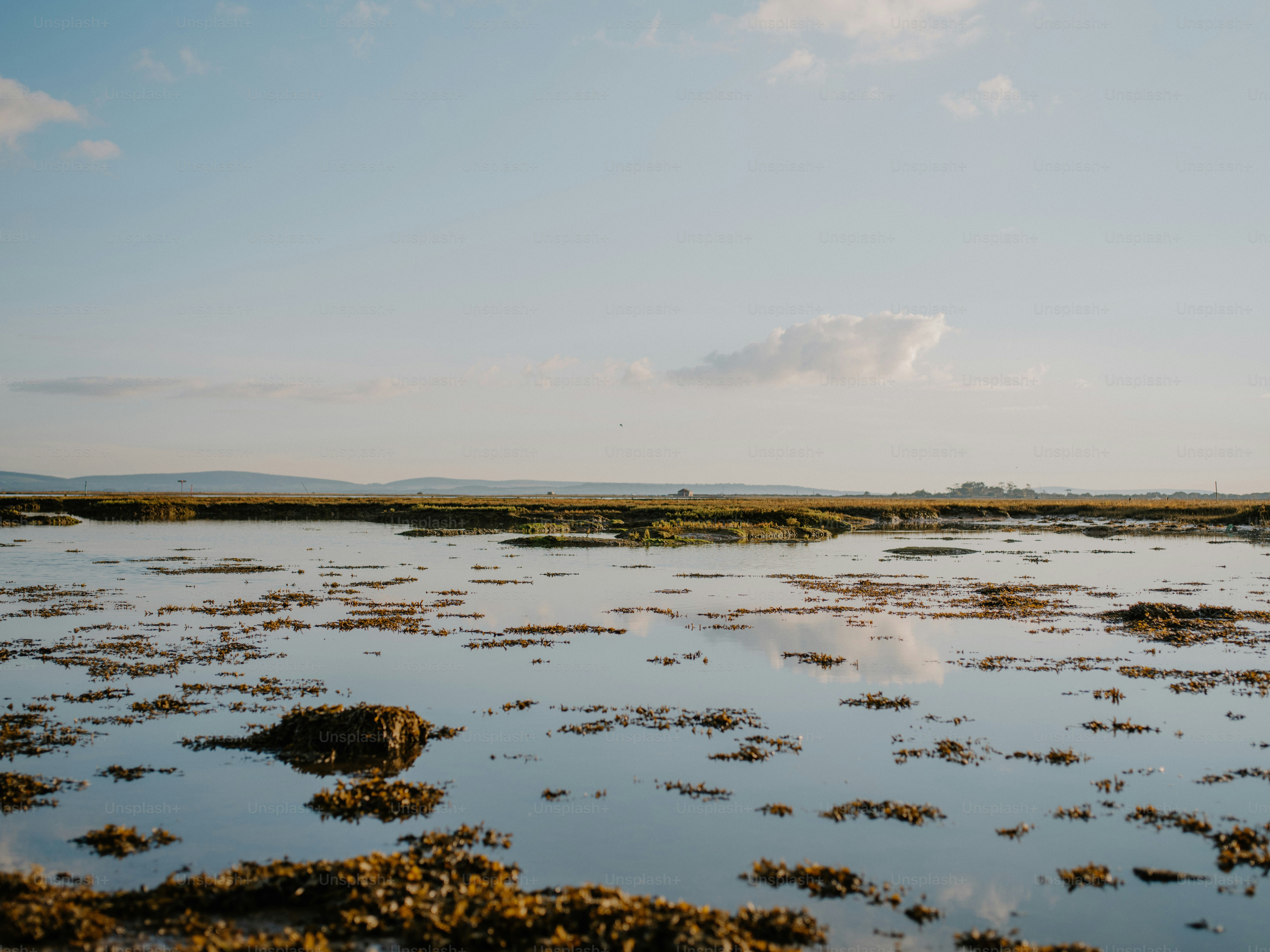 Tidal flats with calm water reflecting the sky photo – Sea Image on ...