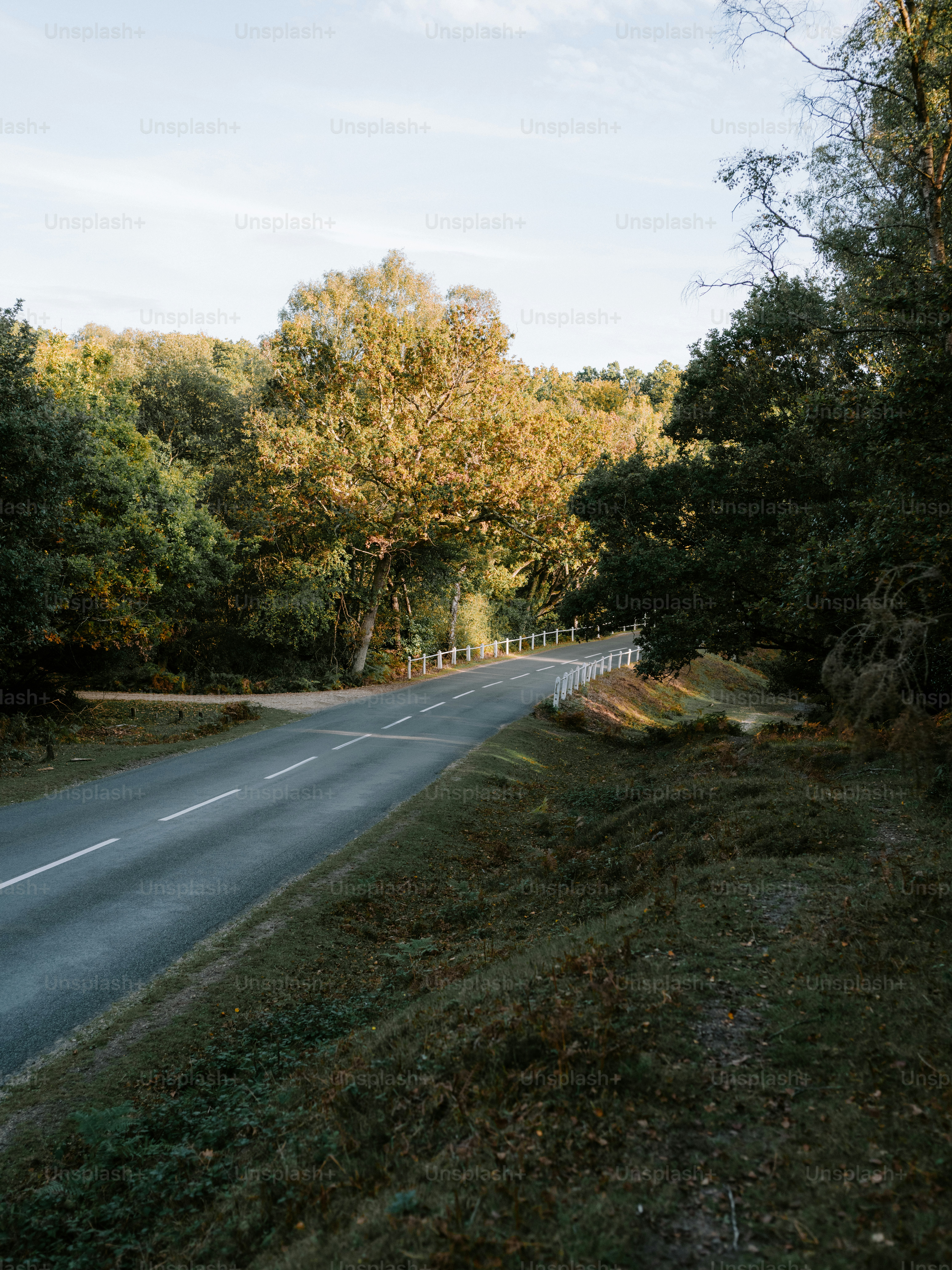 Winding road through autumn forest with white railings photo – Travel ...
