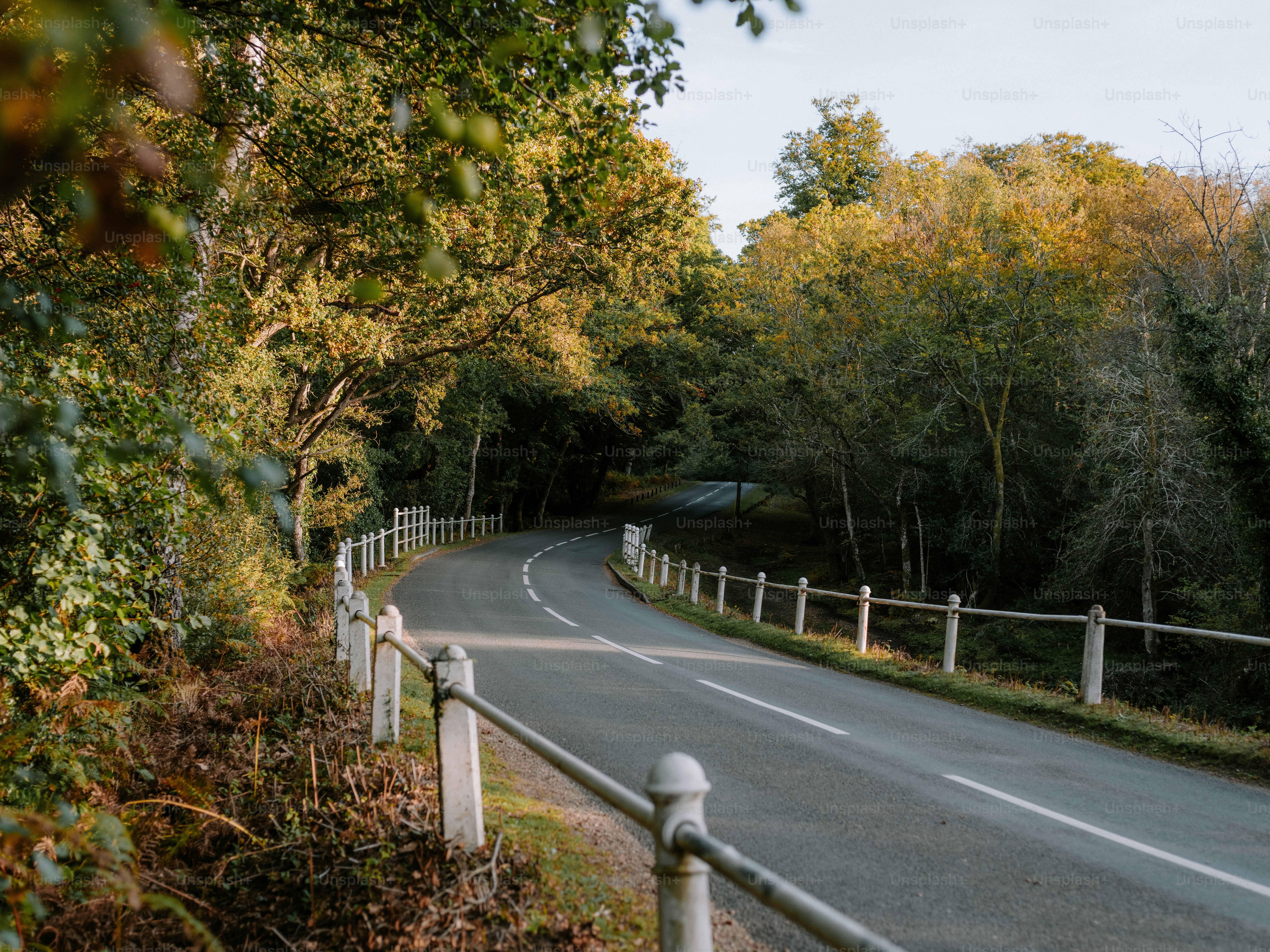 Winding road through autumn forest with white railings photo – Travel ...