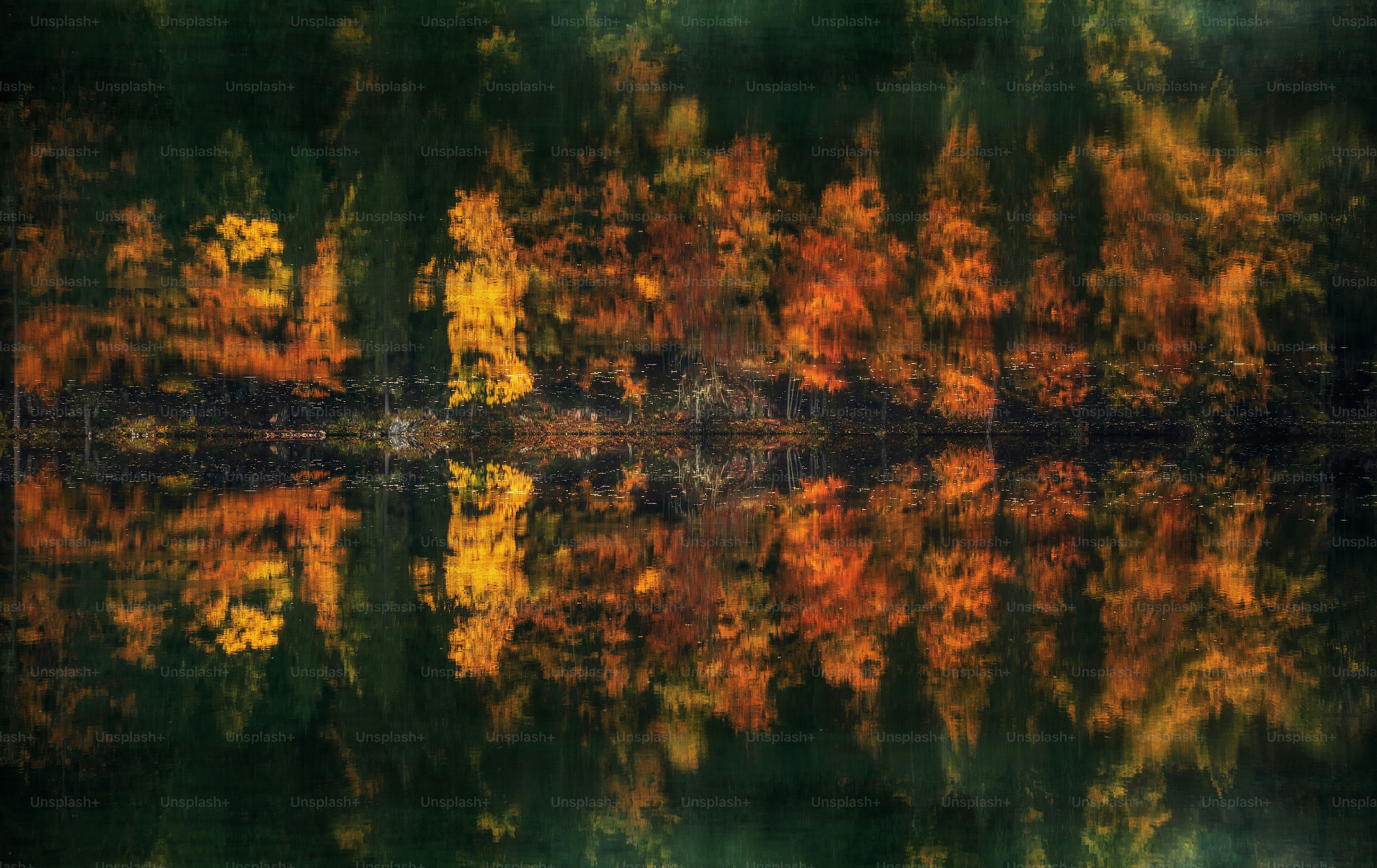 Autumn trees reflected in calm water photo – Autumn Image on Unsplash