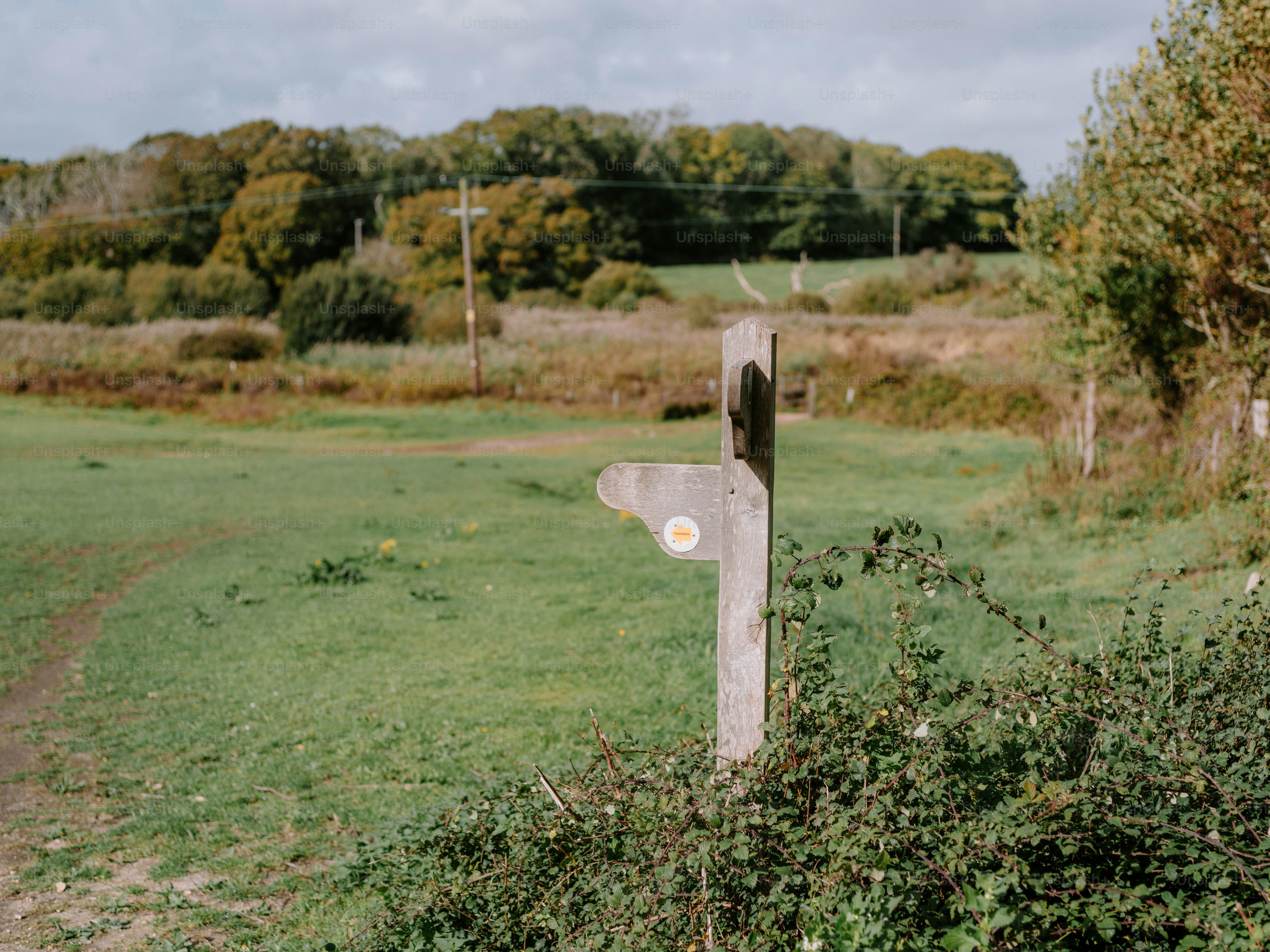 Wooden signpost in a grassy field with trees. photo – Trees Image on ...