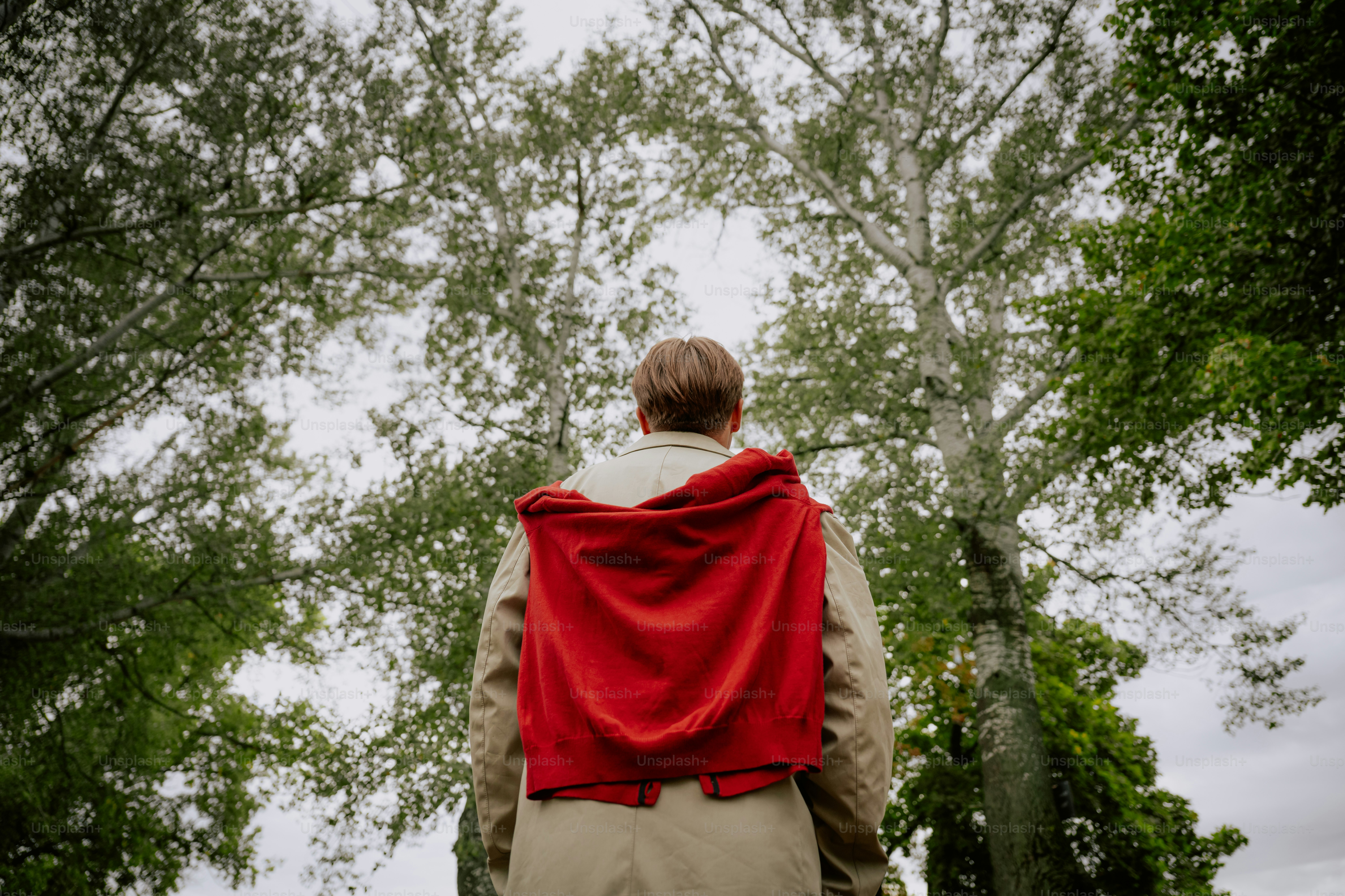Person with red cape stands before tall trees photo – Trees Image on ...