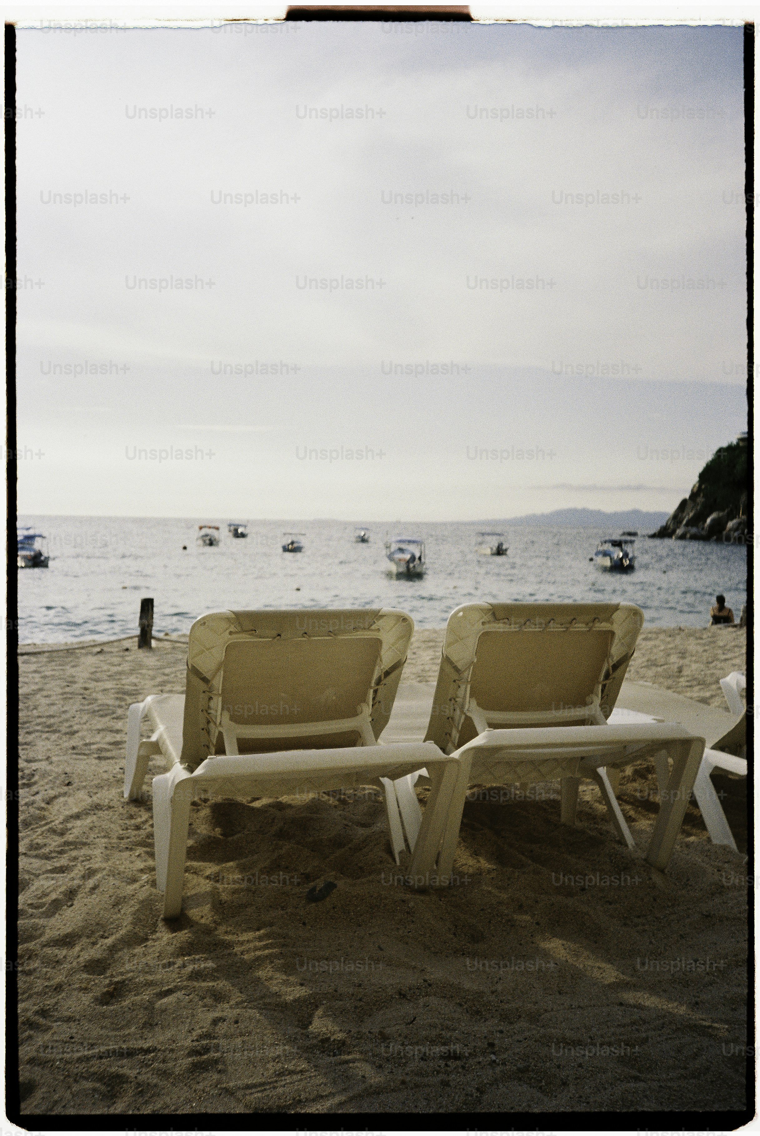 Close-up of prickly pear cactus pads and euphorbia plants. photo – Film ...