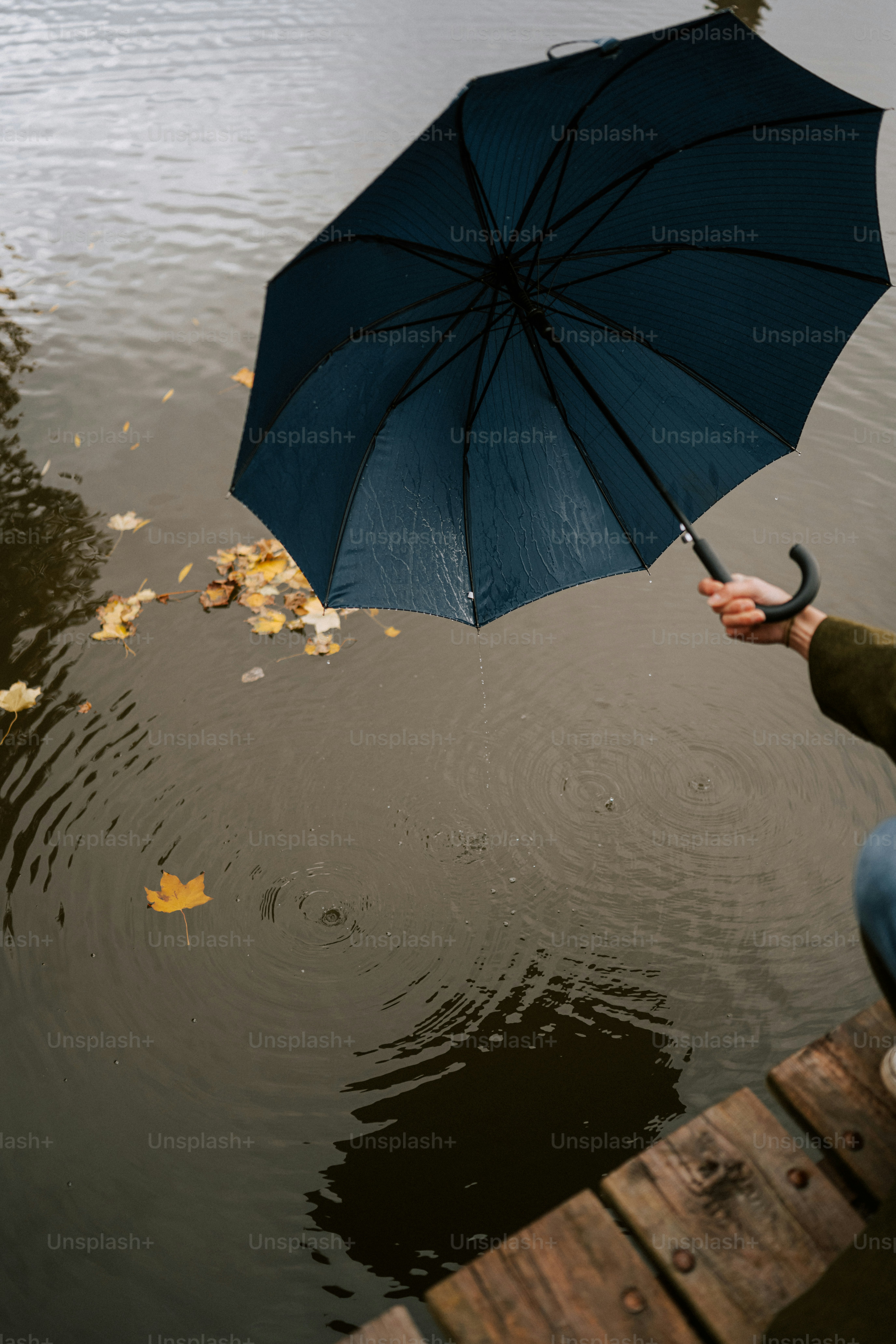 Shadow of an umbrella on a sidewalk with fallen leaves photo – Autumn ...