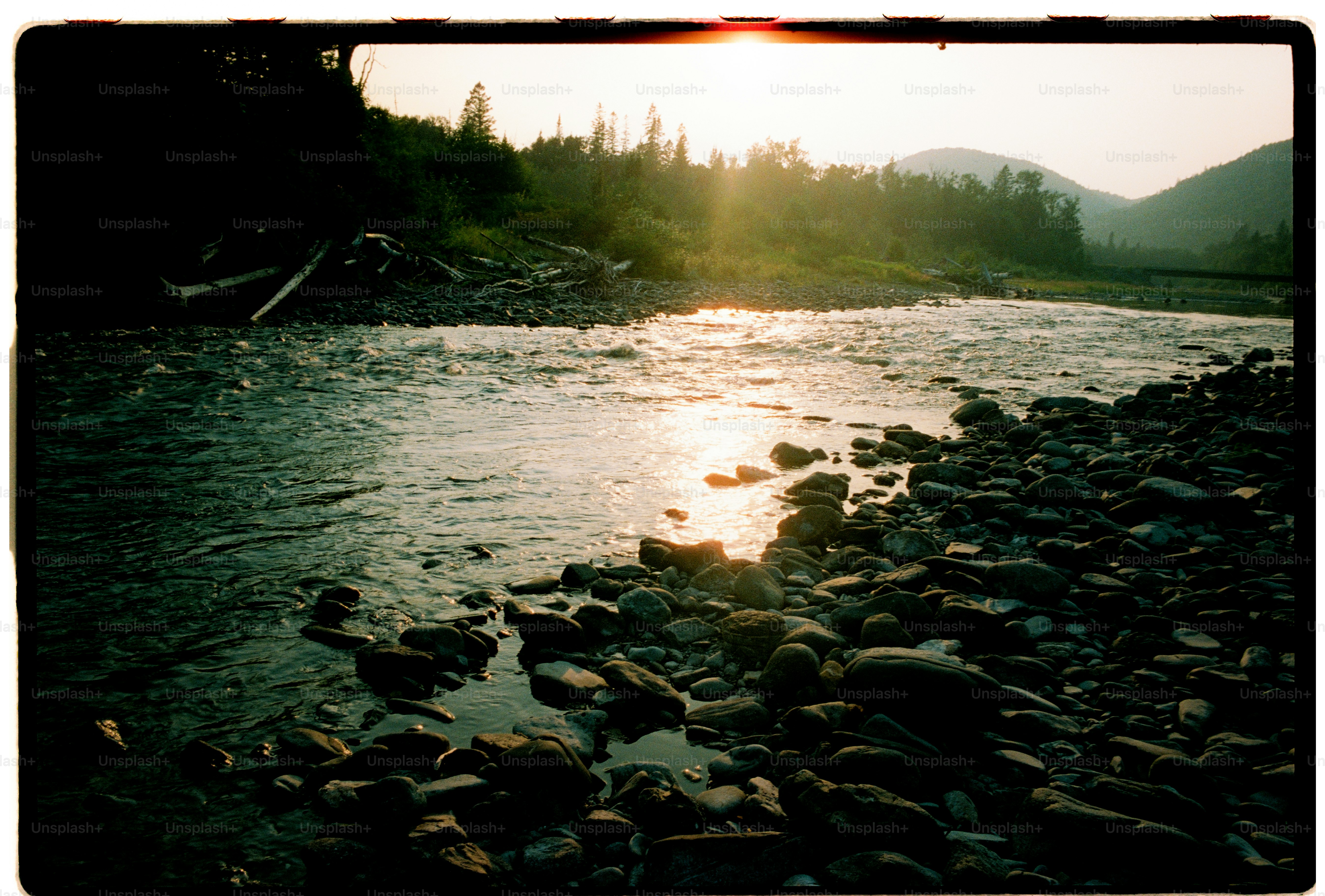 Sunset over a rocky riverbank with trees. photo – Forest Image on Unsplash