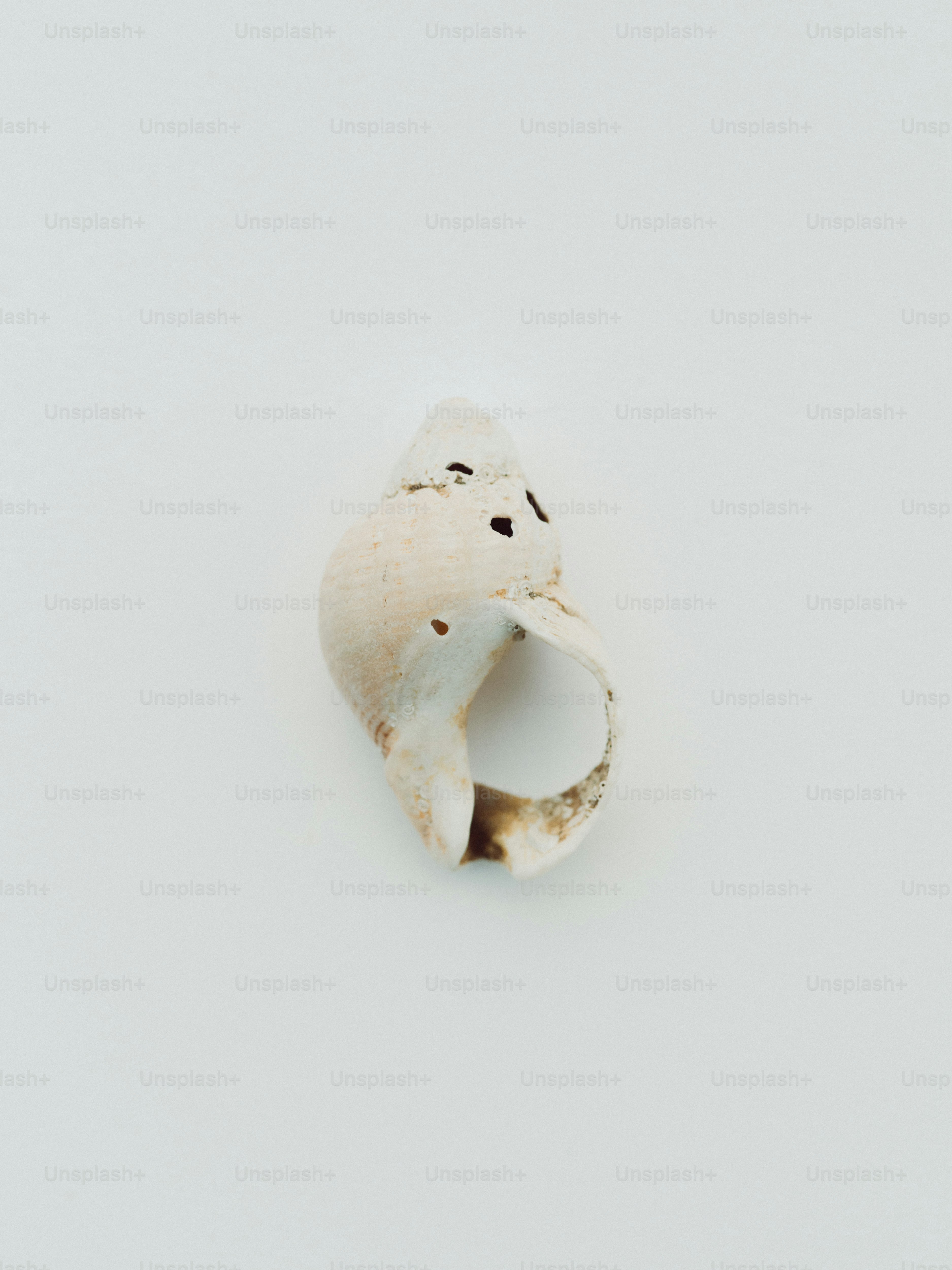 A single light-colored stone with brown markings. photo – Minimal Image ...