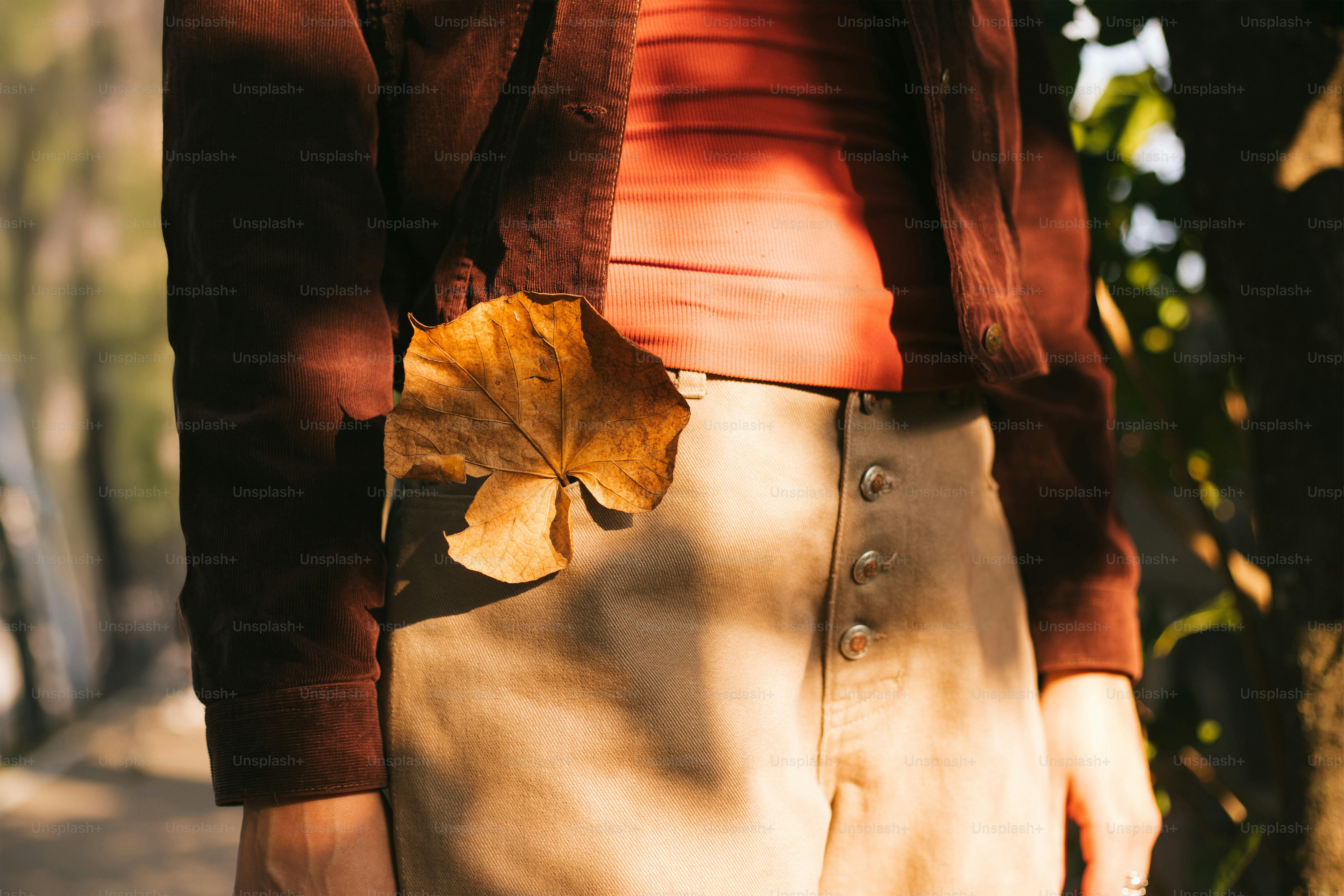 A person wearing autumn clothing with a leaf. photo – Autumn Image on ...