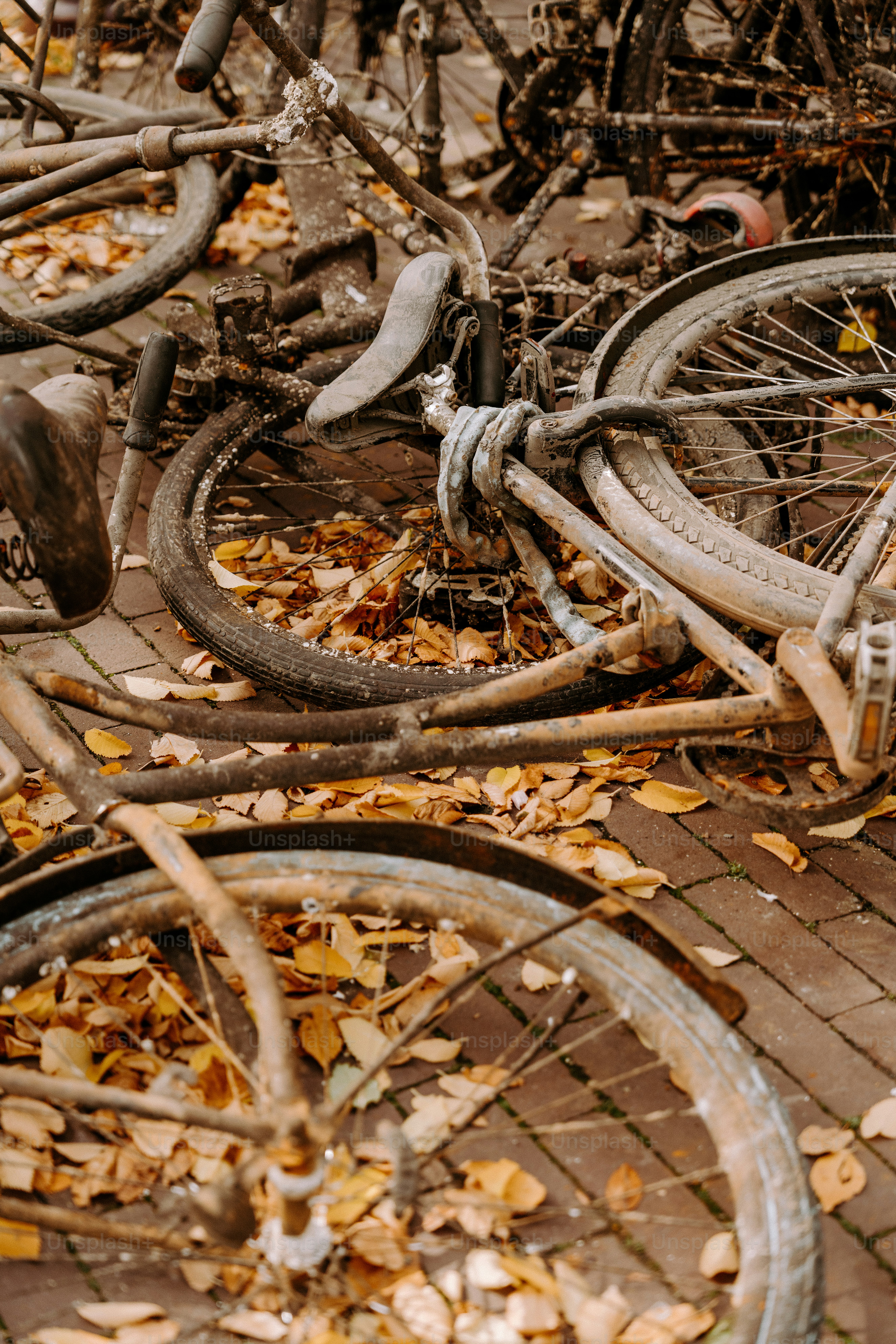 El río fluye junto a un antiguo edificio con árboles otoñales foto – Imagen de Fondo de pantalla ...