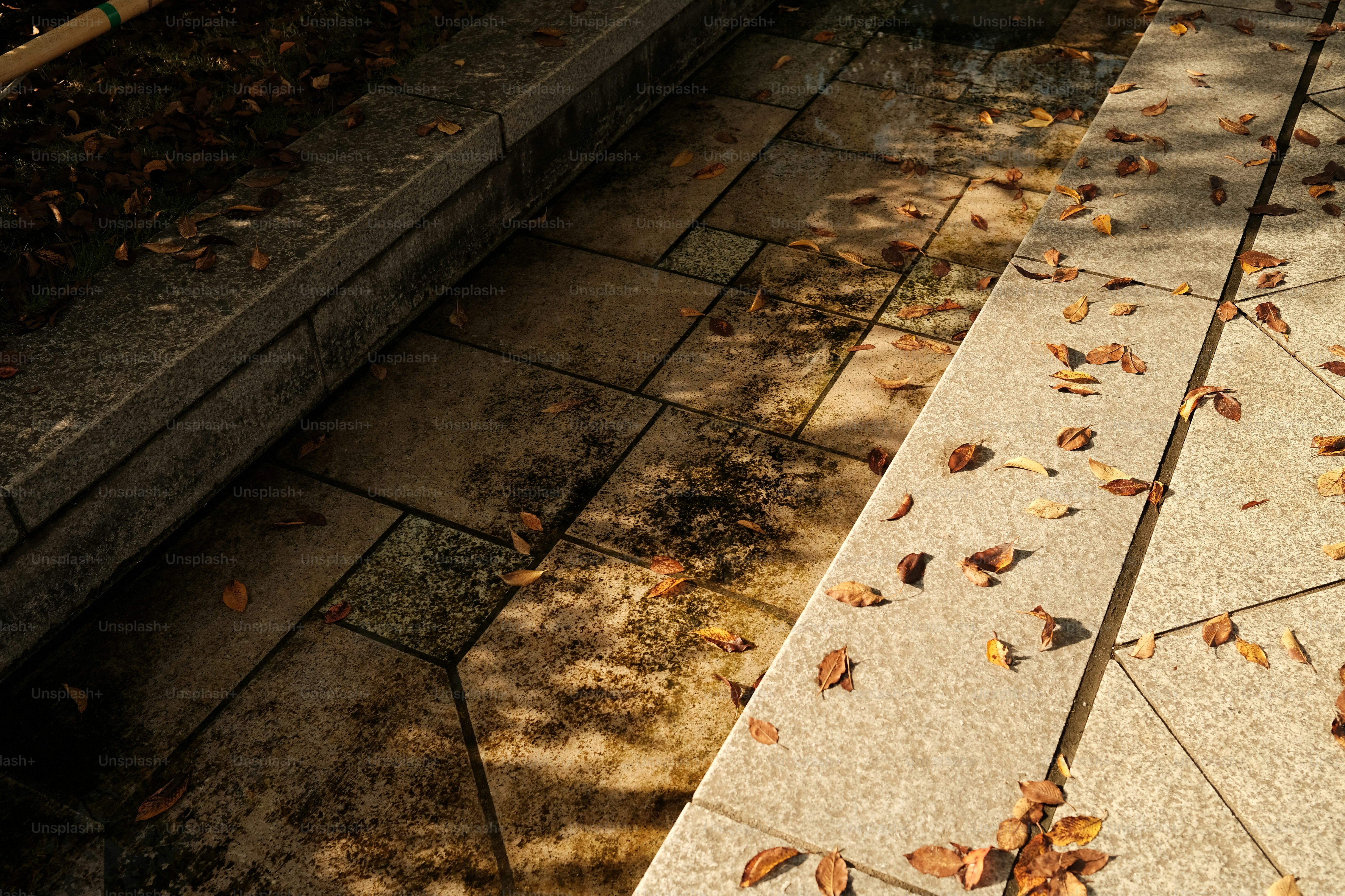 Fallen autumn leaves scattered on a stone path. photo – Texture Image ...