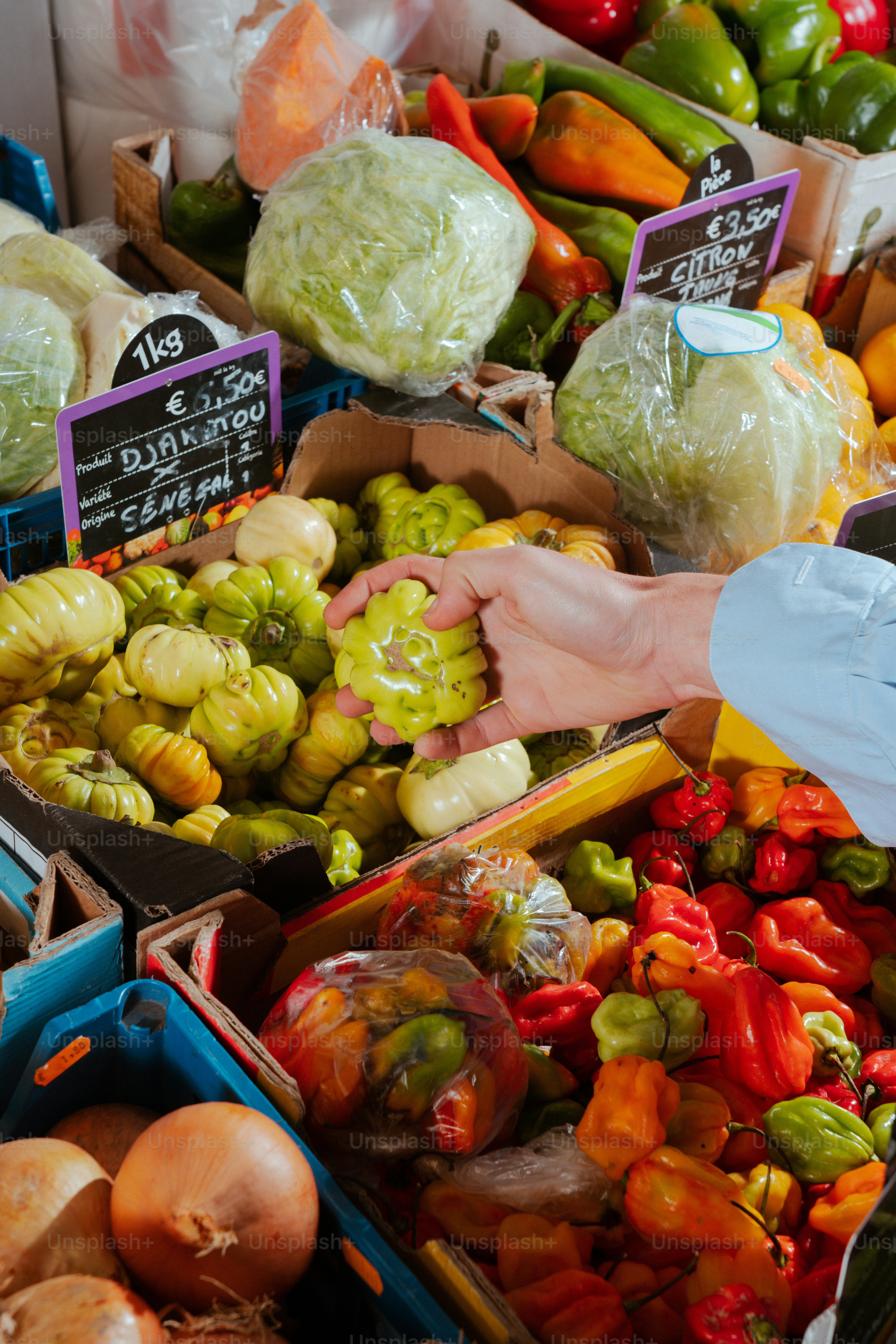 Hand selecting a green vegetable at a market stall. photo – Shopping ...
