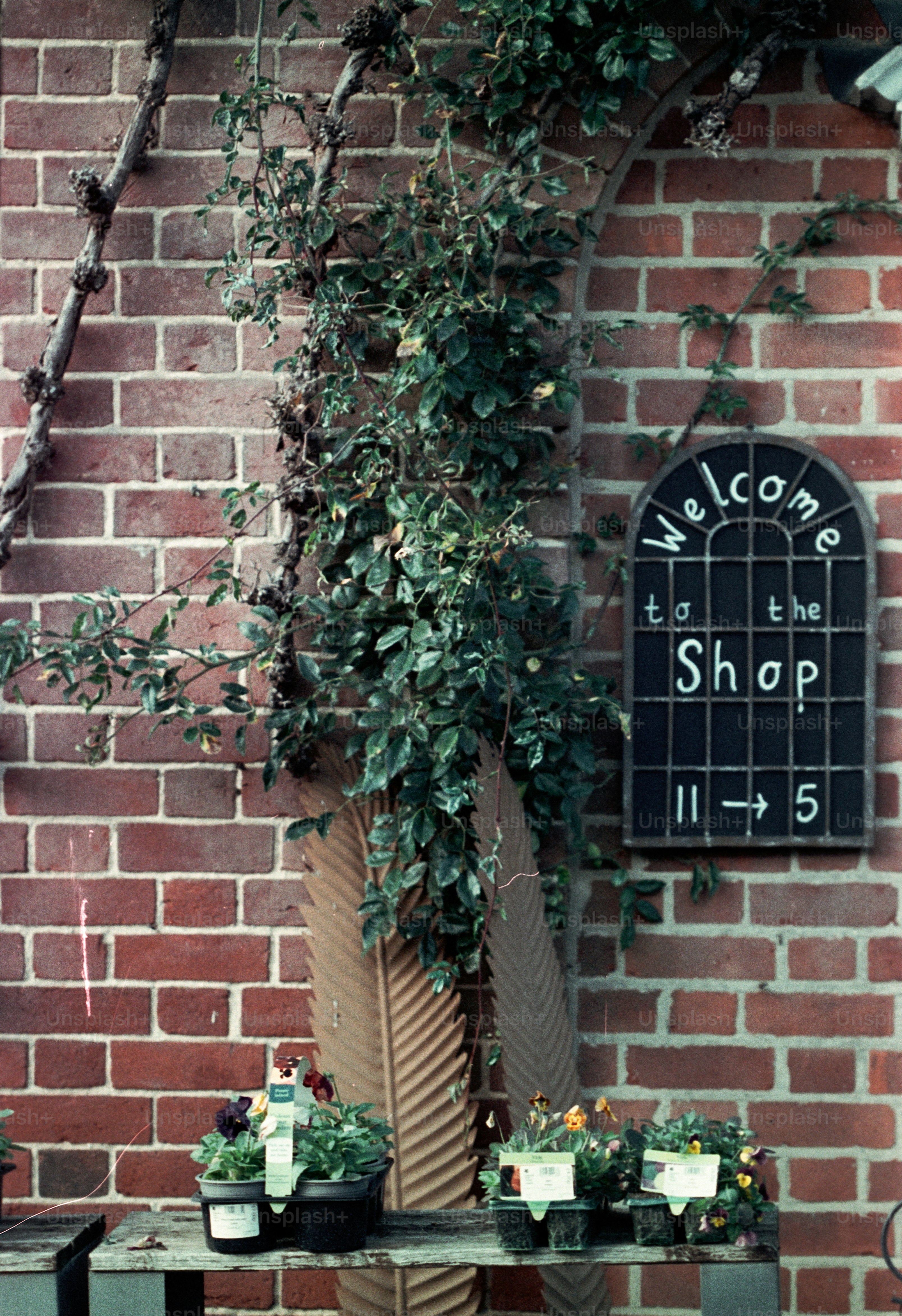 Plants displayed outside a shop with a welcome sign. photo – Brick wall ...
