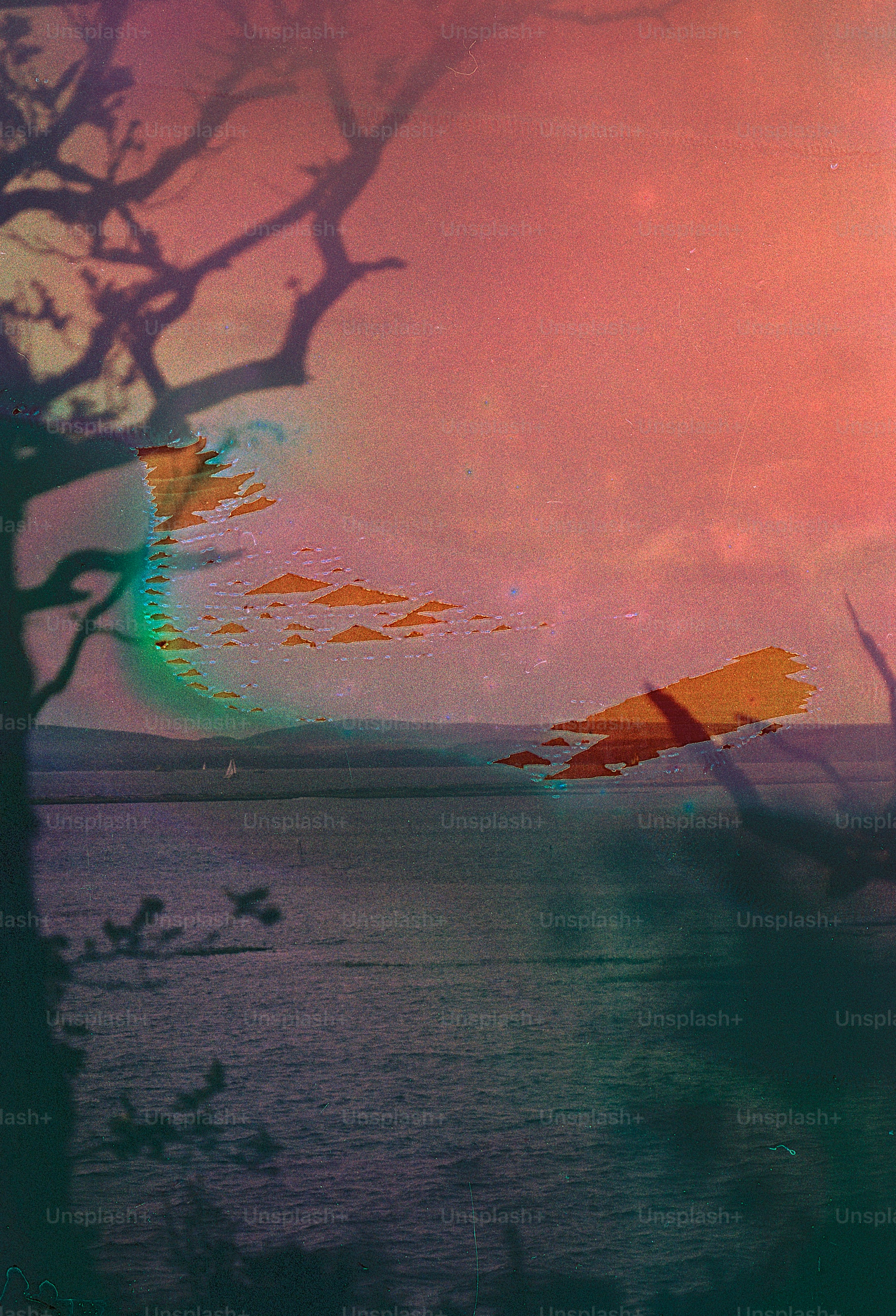 Silhouette of a tree against a hazy sky photo – Abstract Image on Unsplash