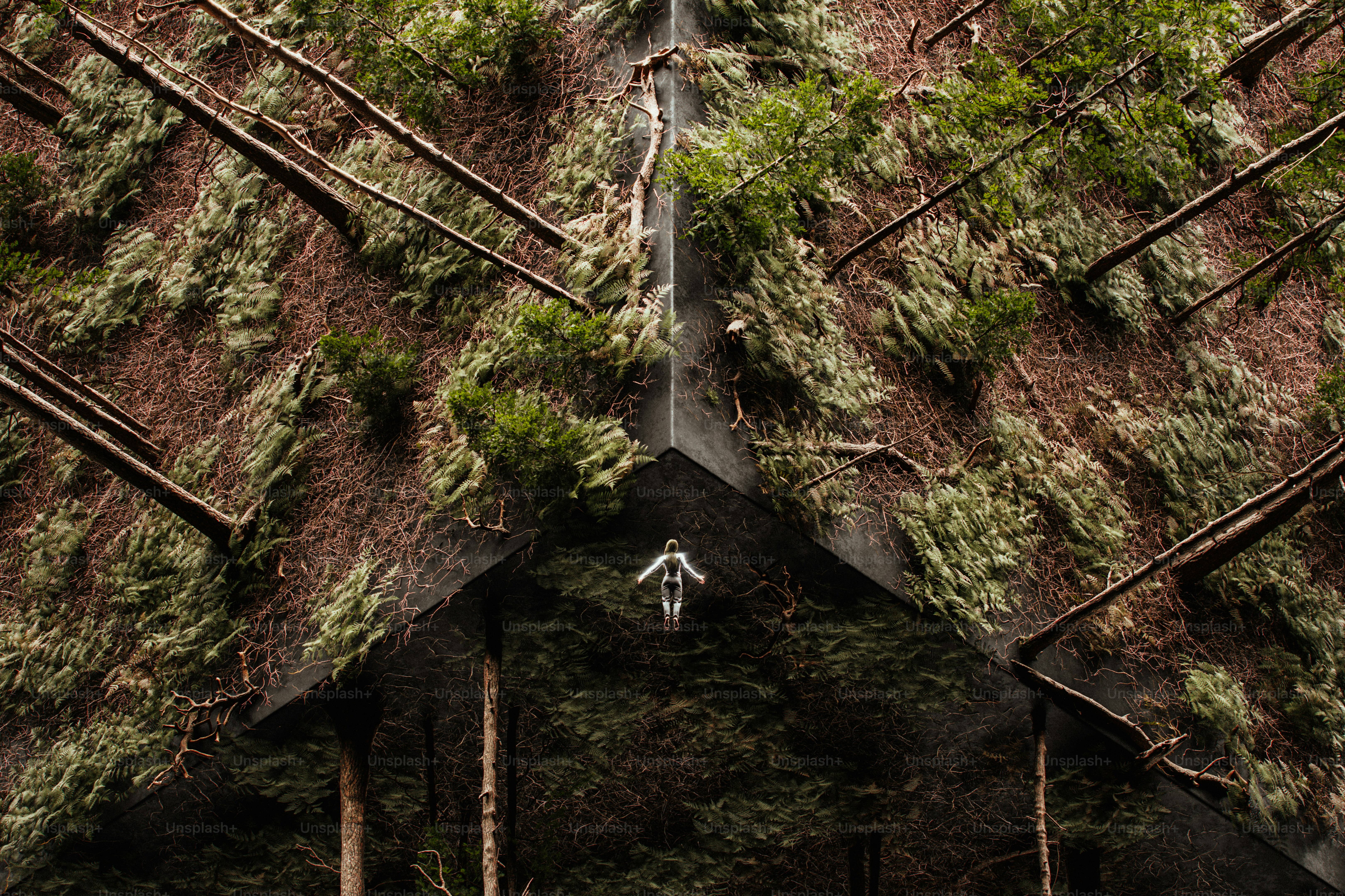 A person suspended in a forest canopy structure photo – Abstract Image ...