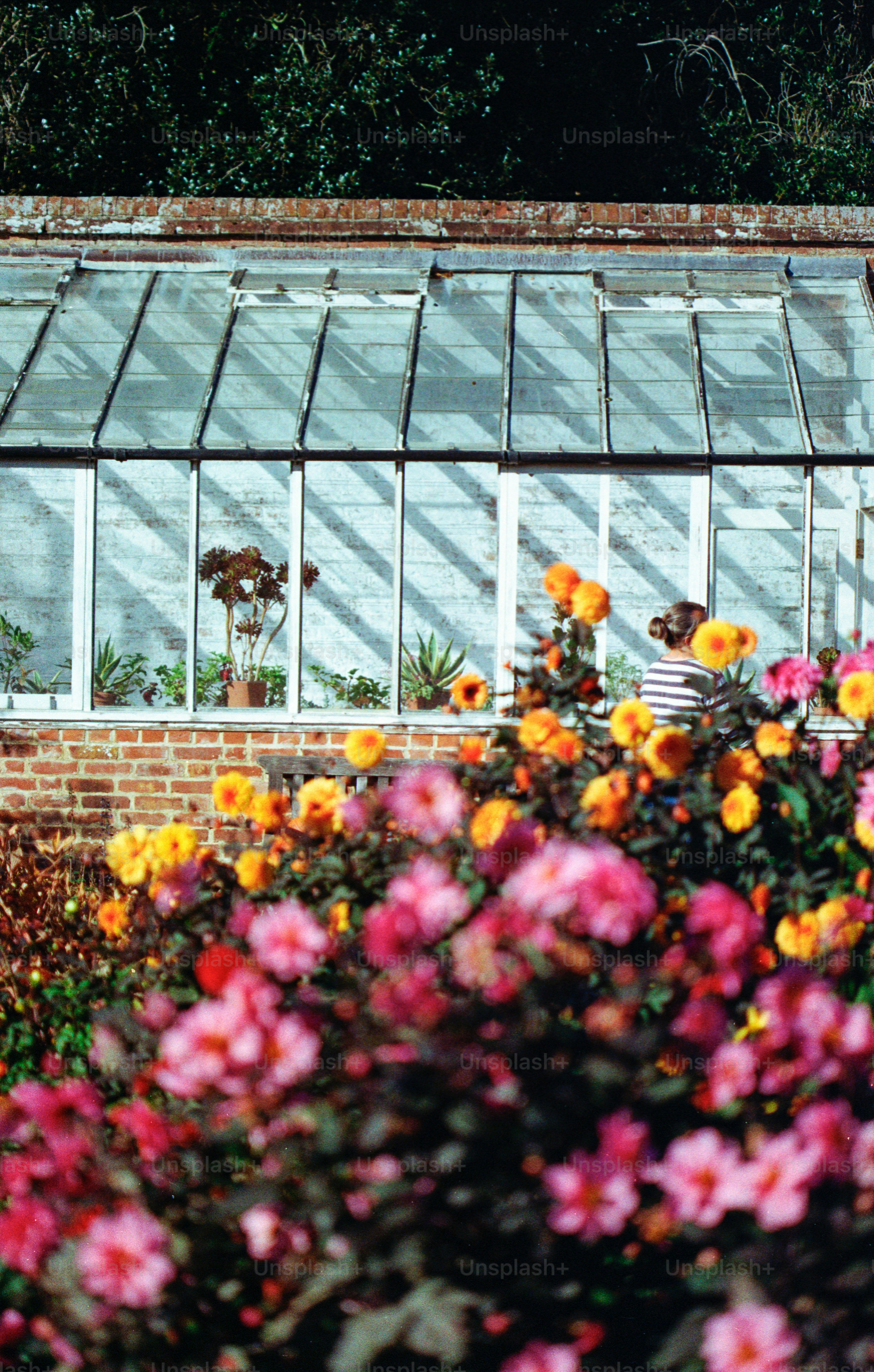 Geflochtener Korb mit Kürbis, Blättern und kleinen Früchten. Foto ...