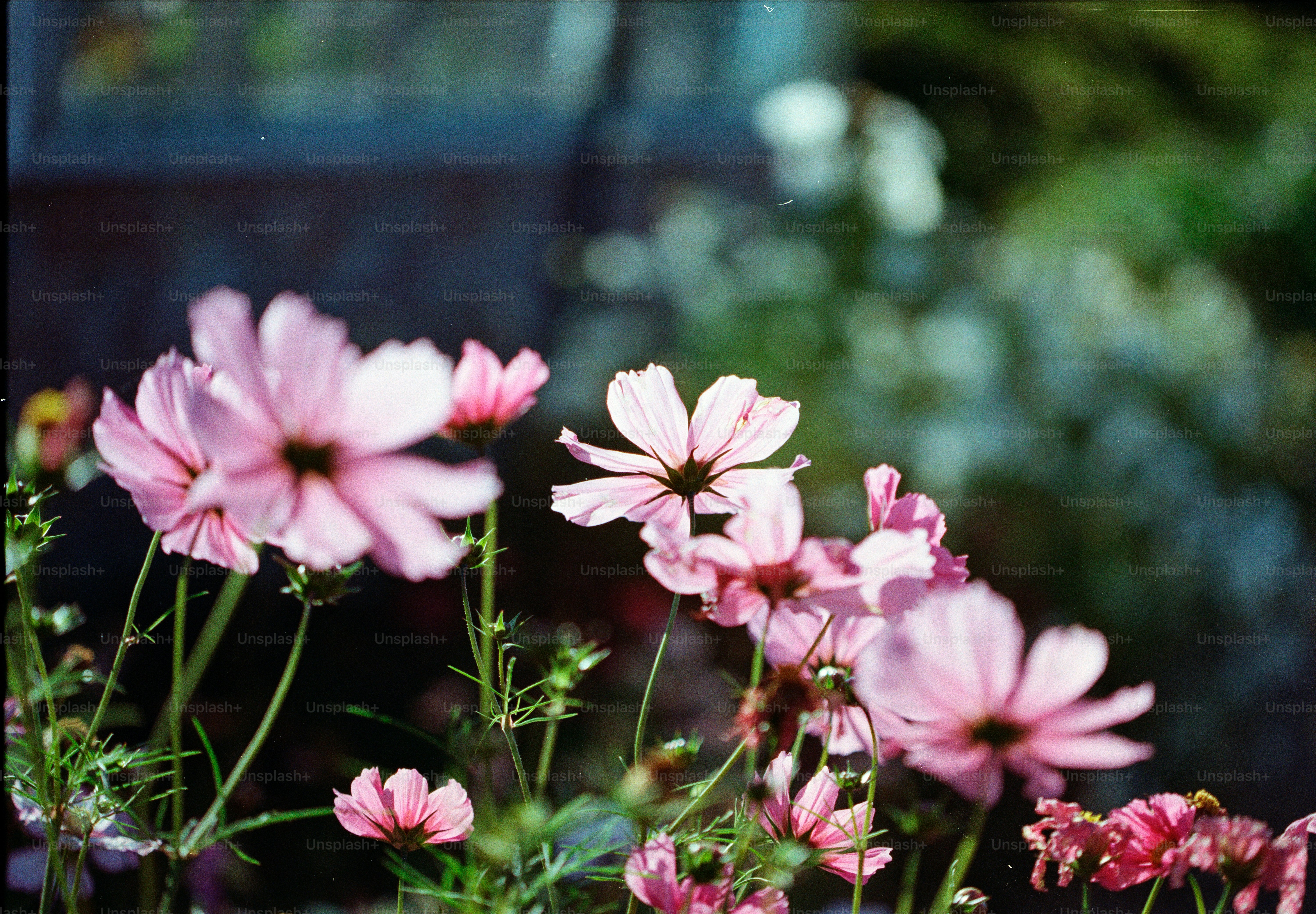 Geflochtener Korb mit Kürbis, Blättern und kleinen Früchten. Foto ...