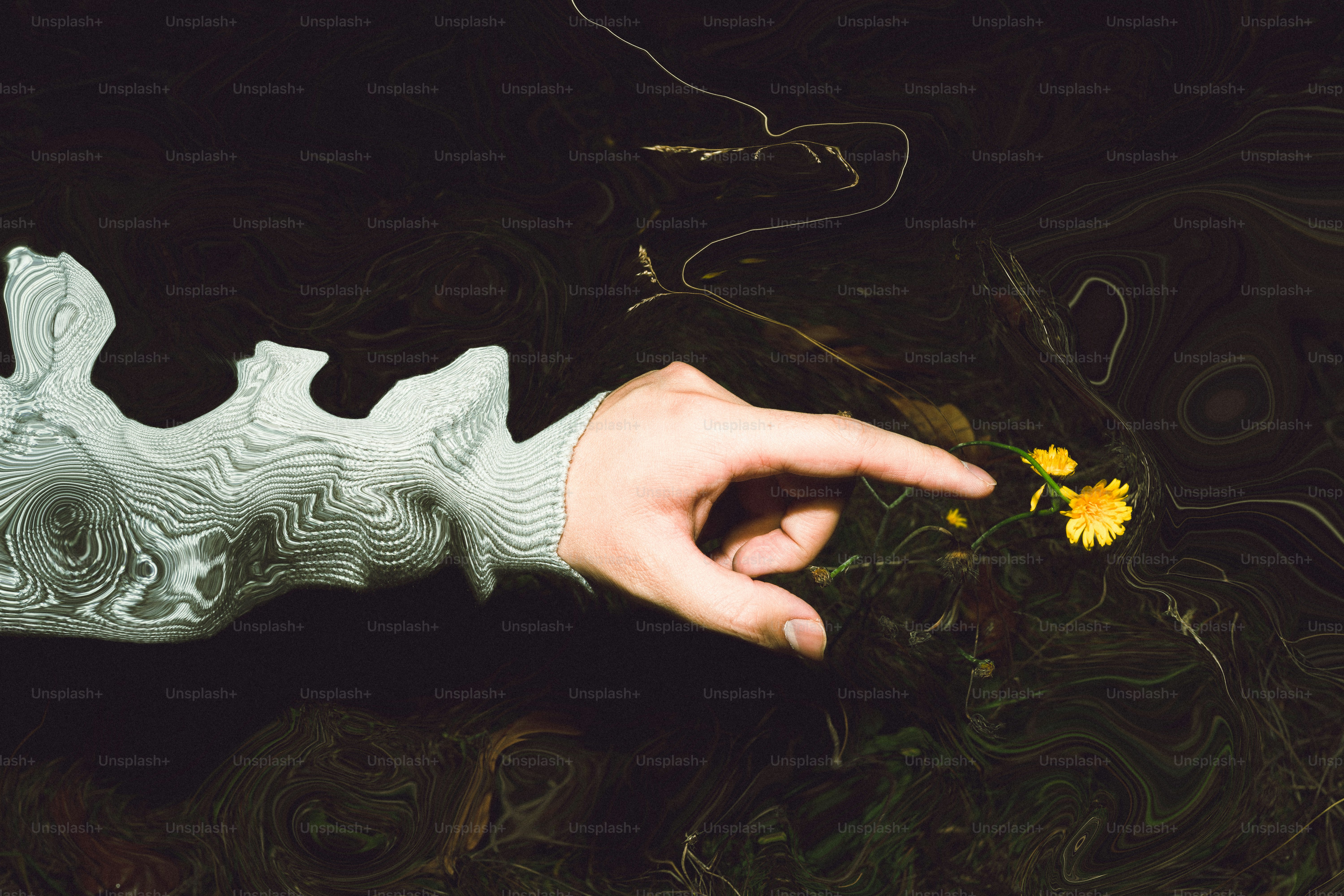 A hand reaching for small yellow flowers. photo – Dandelion Image on ...