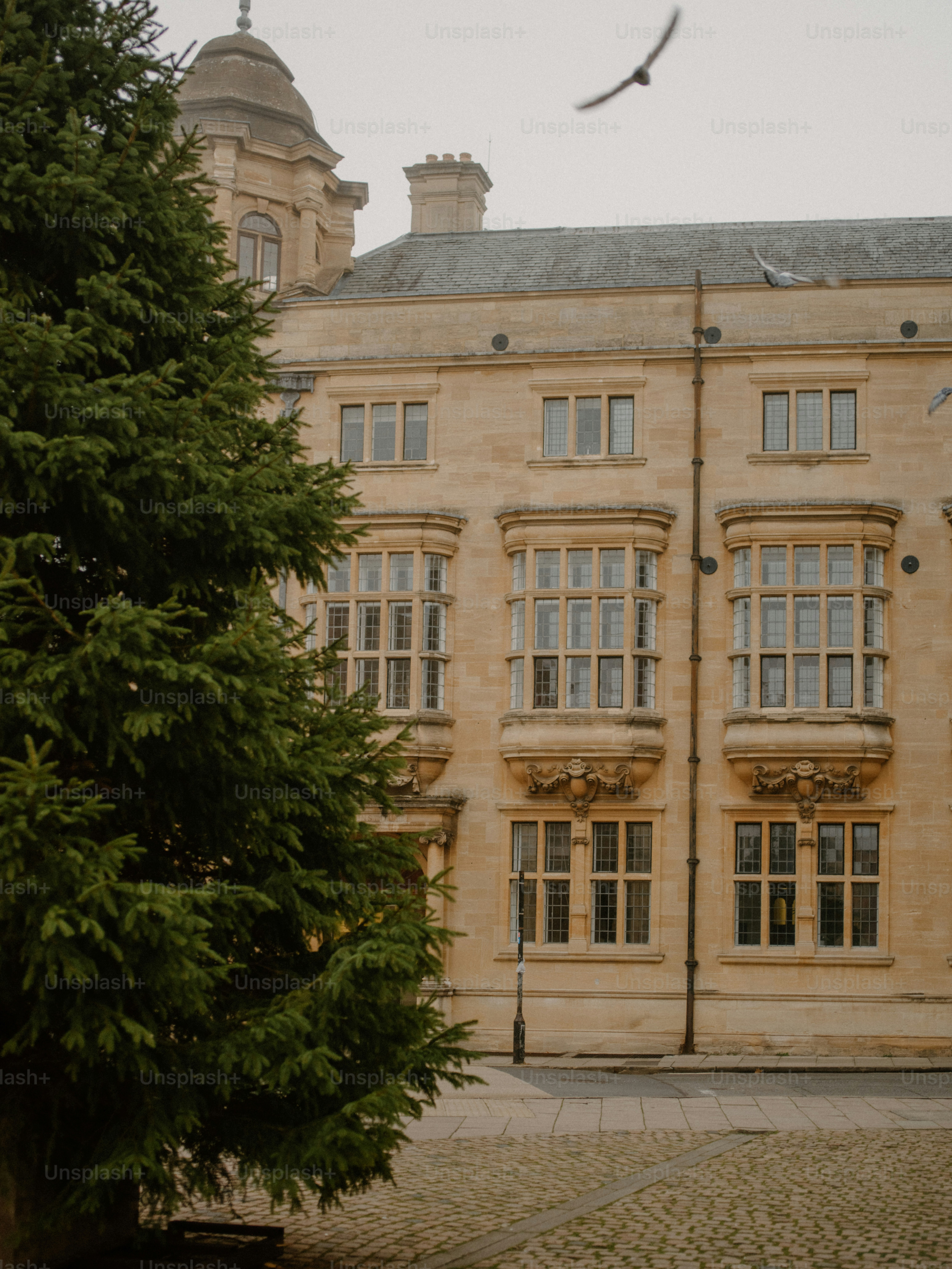 Old stone building with large windows and birds flying. photo – England ...