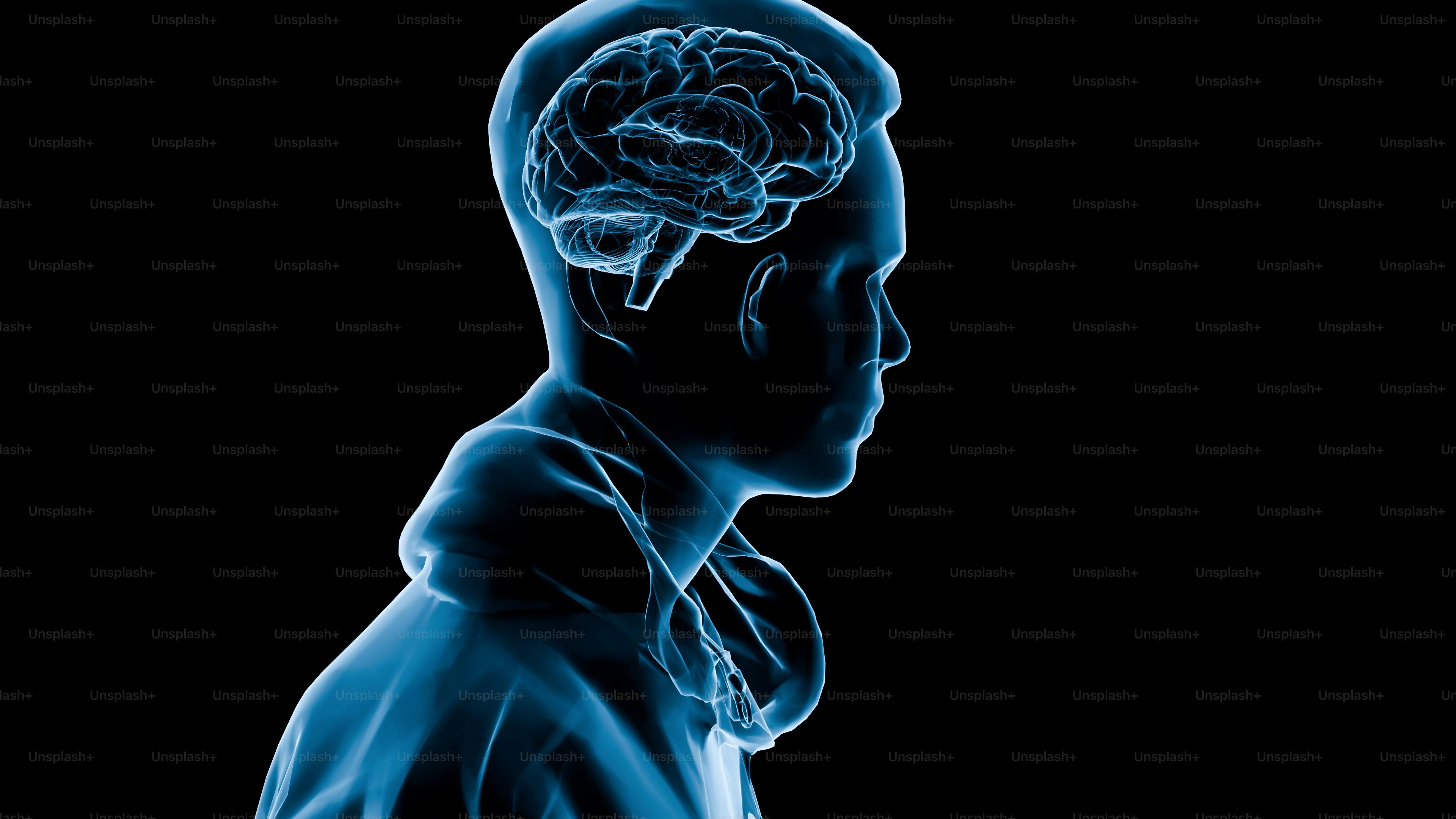 X-ray view of a briefcase with contents photo – Abstract Image on Unsplash