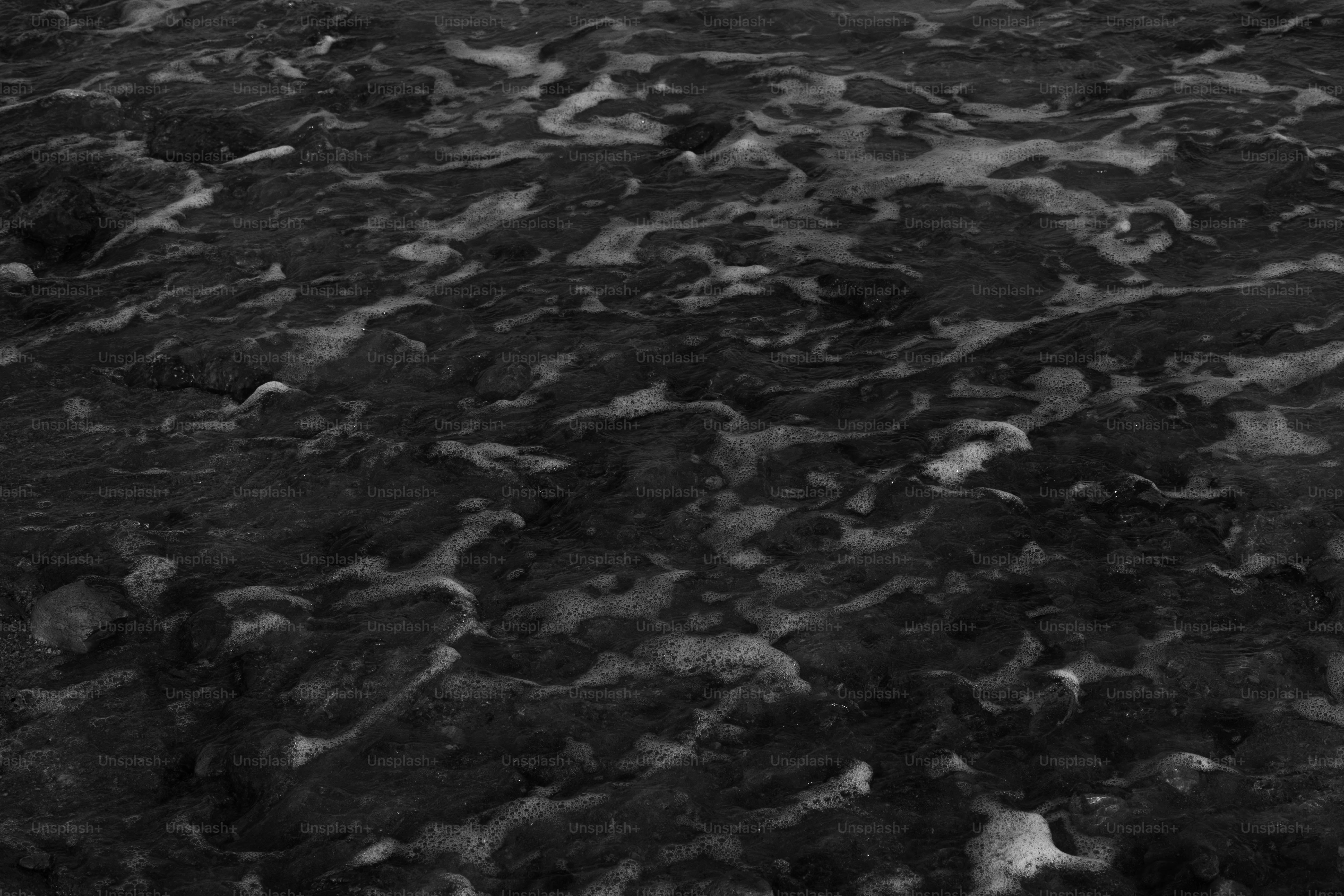 Dark, textured ground with white patches photo – Abstract Image on Unsplash