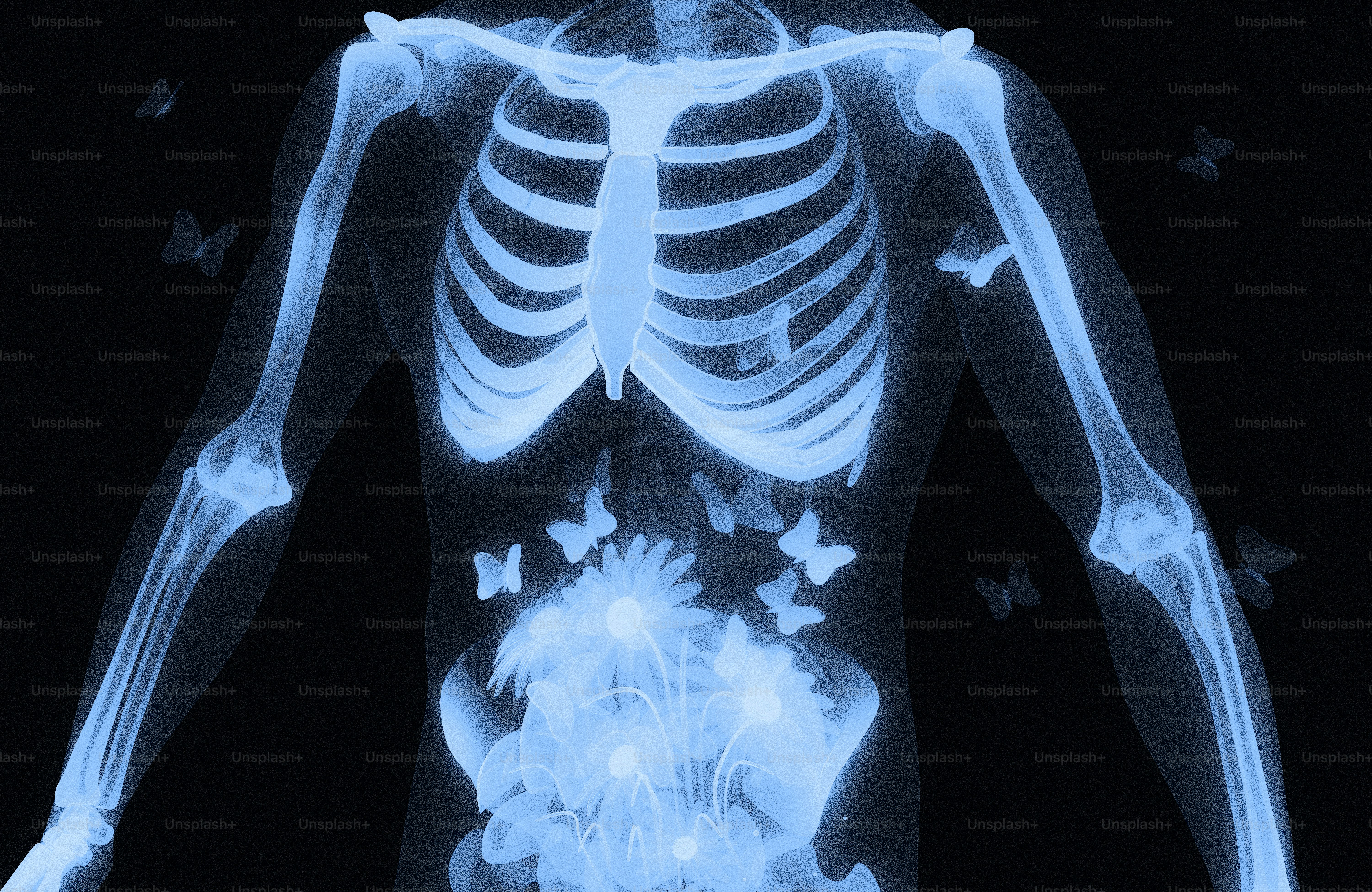 X-ray of a human torso with butterflies and flowers. photo – Flower ...