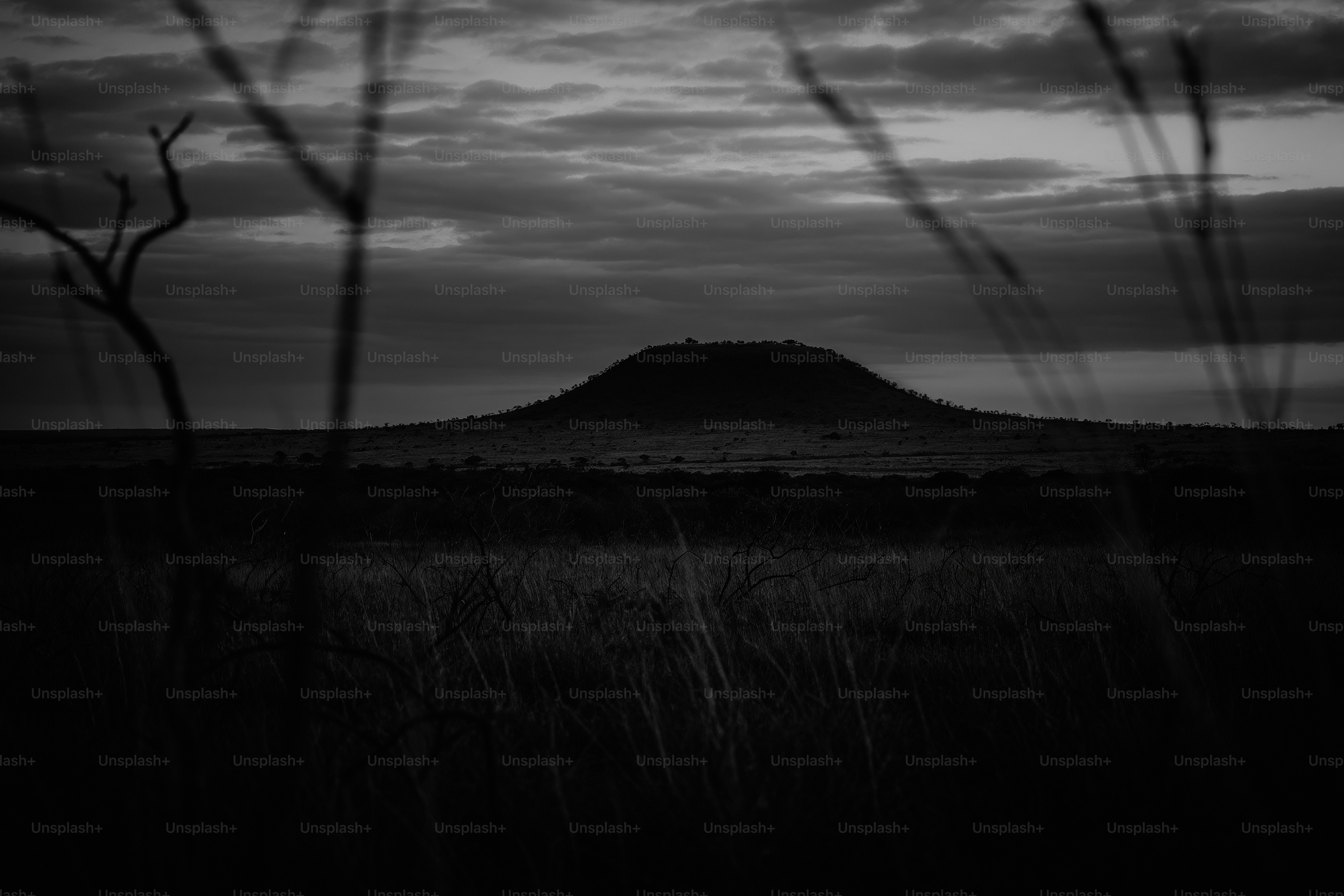 A lone hill in a grassy field at dusk photo – Scenic Image on Unsplash