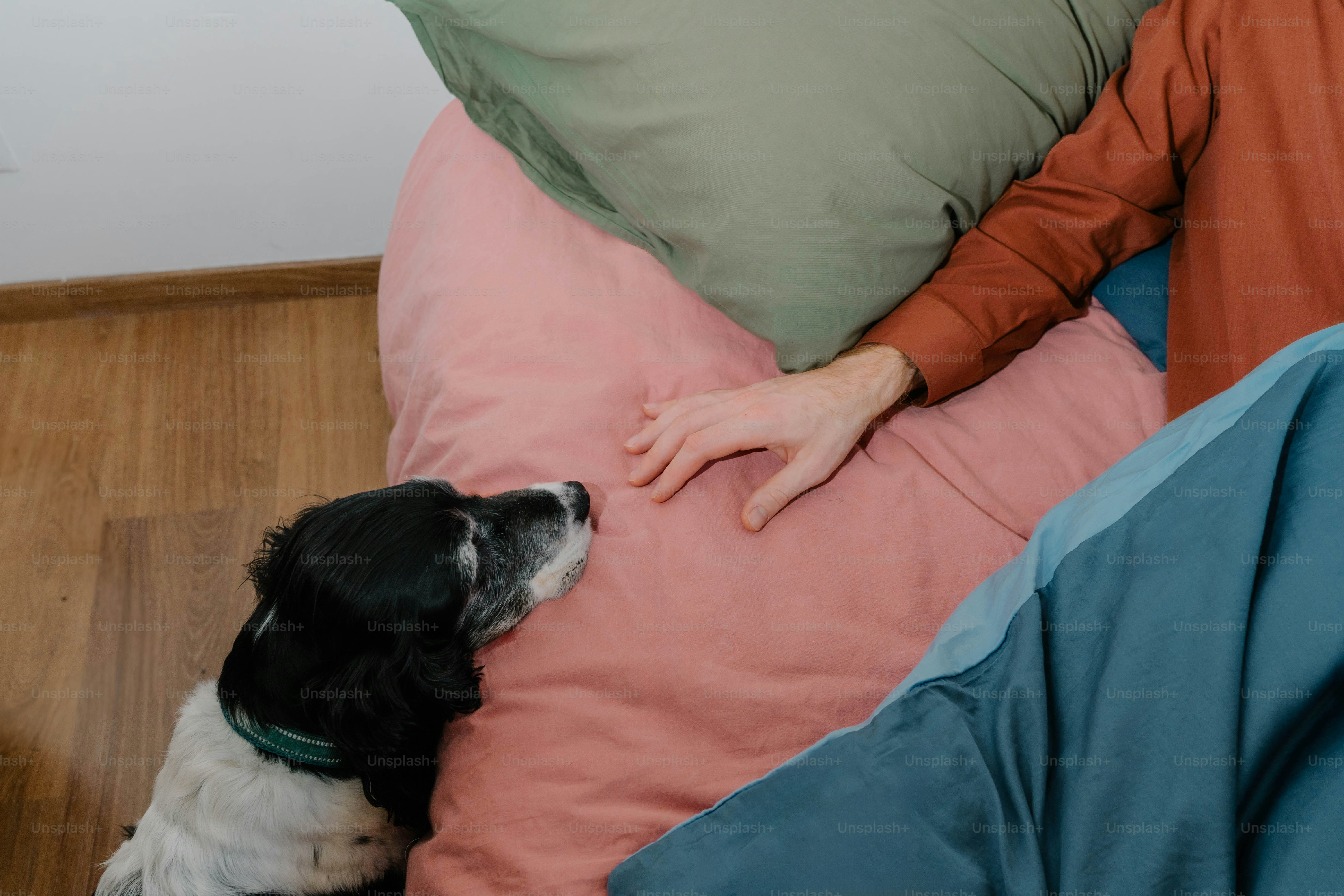 Person's legs sticking out from under blankets photo – Blue Image on ...