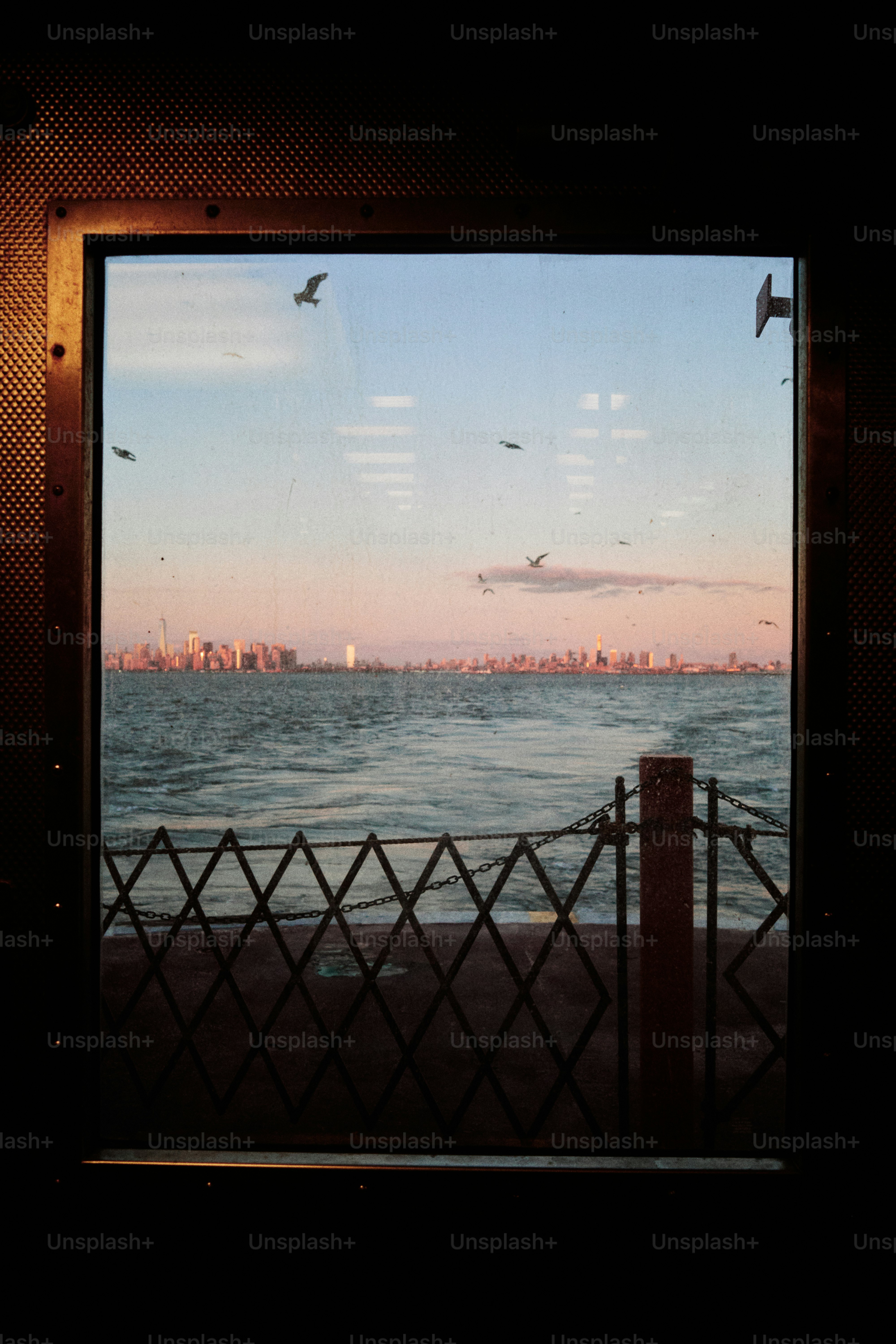 Seagulls fly over water towards city skyline at sunset. photo – New ...