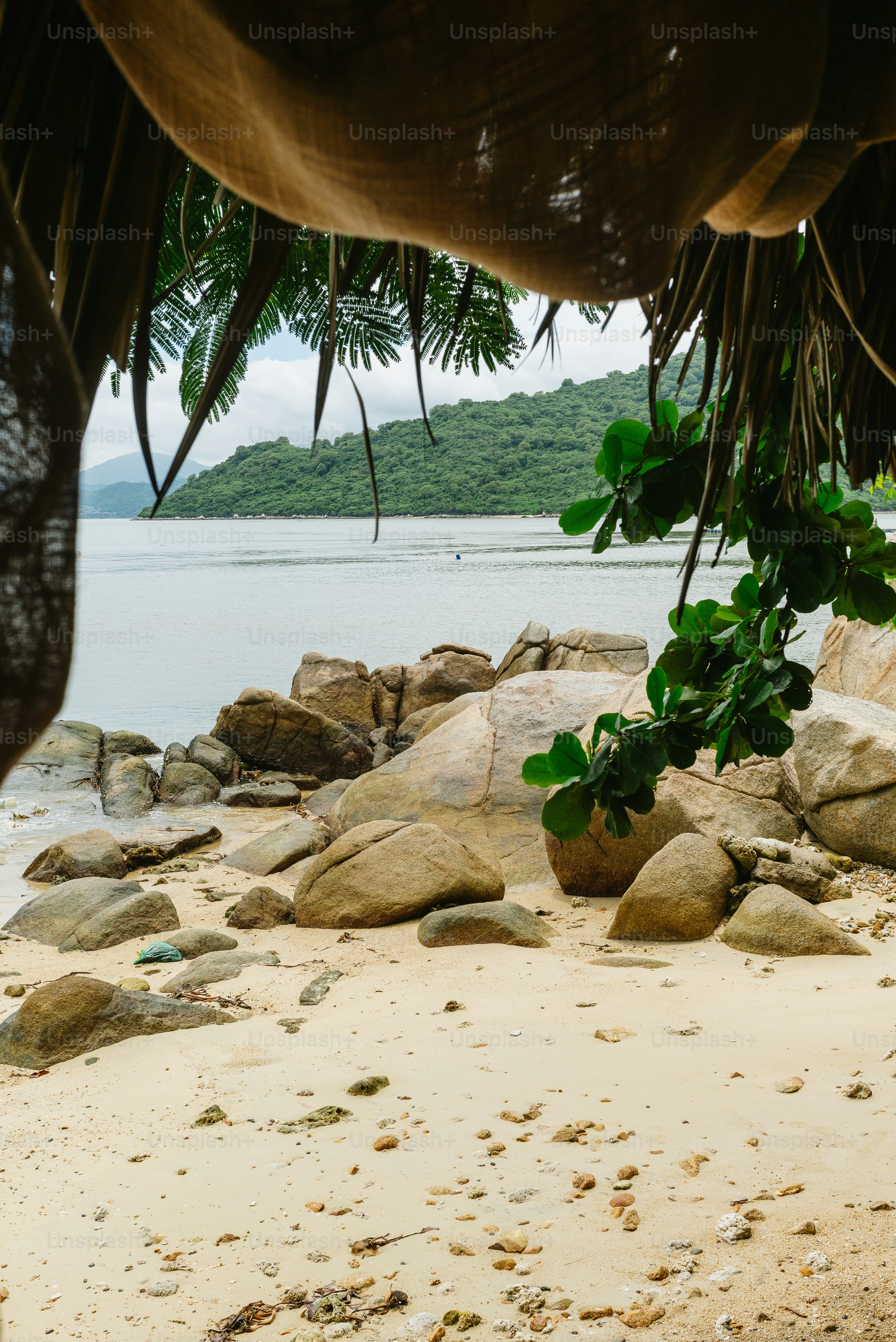 Sandy beach with large rocks and green foliage photo – Beach Image on ...